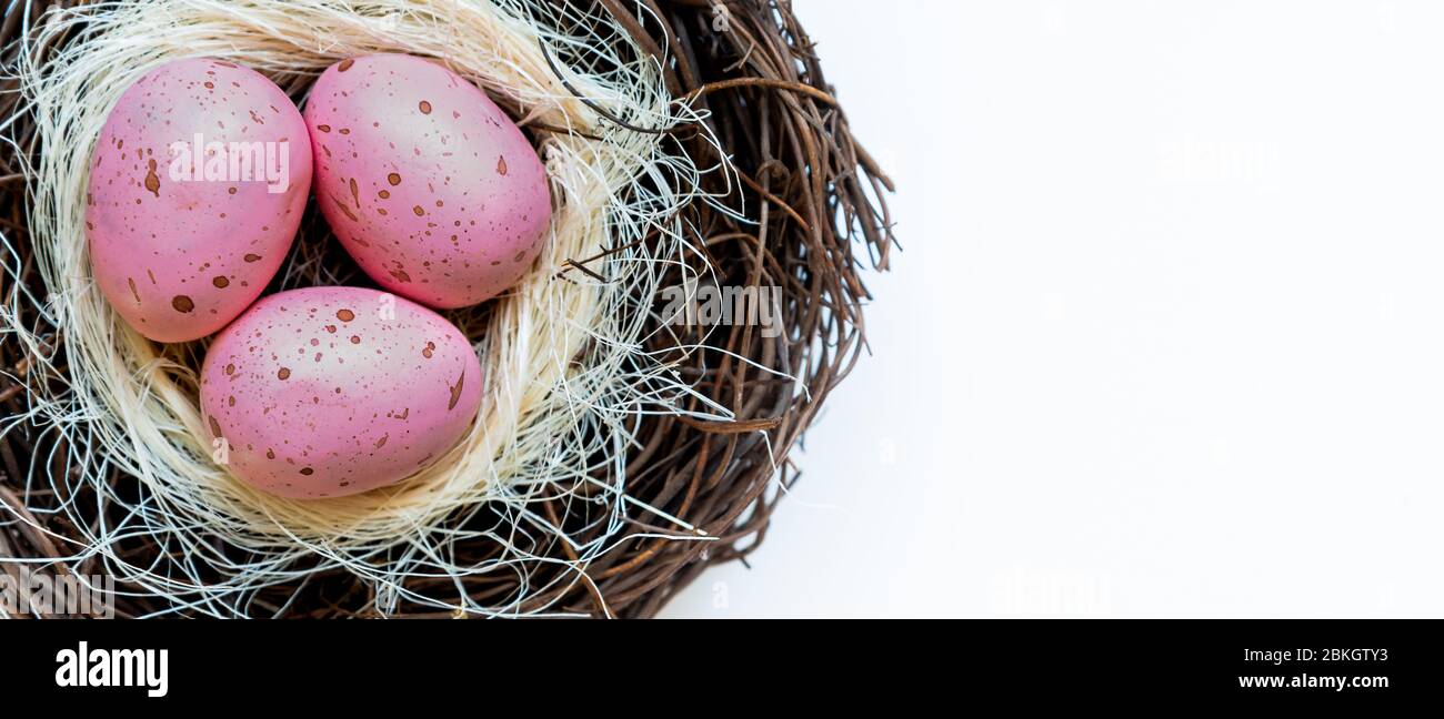 Pink Eggs in Nest Stock Photo - Alamy