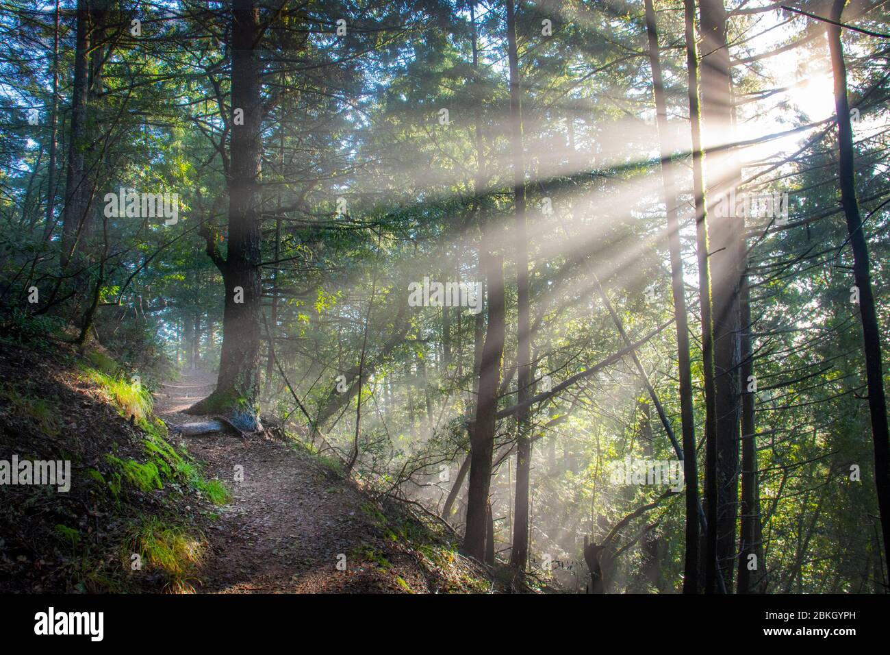 Marin County High Resolution Stock Photography and Images - Alamy