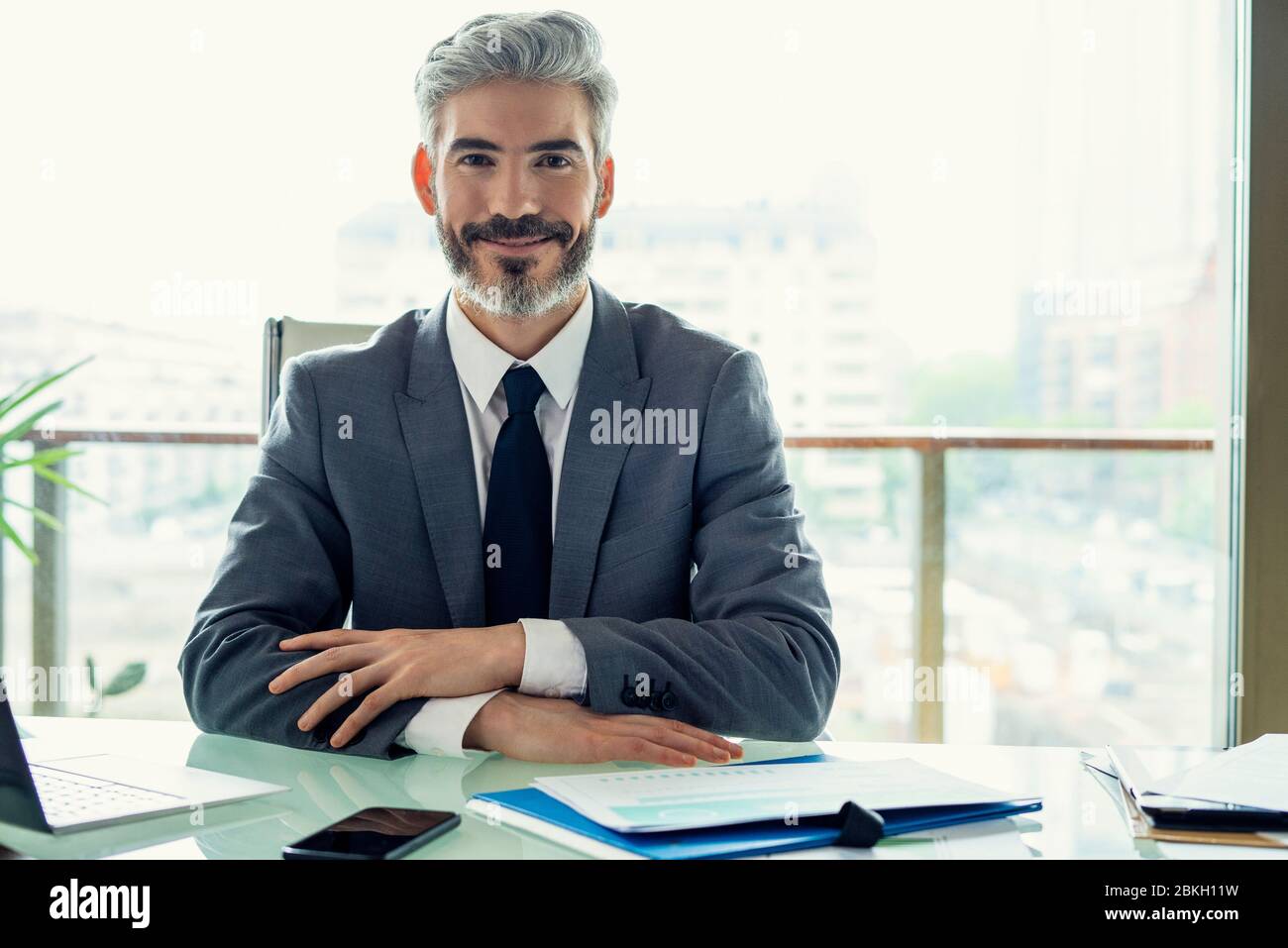 Smiling businessman document folder hi-res stock photography and images ...