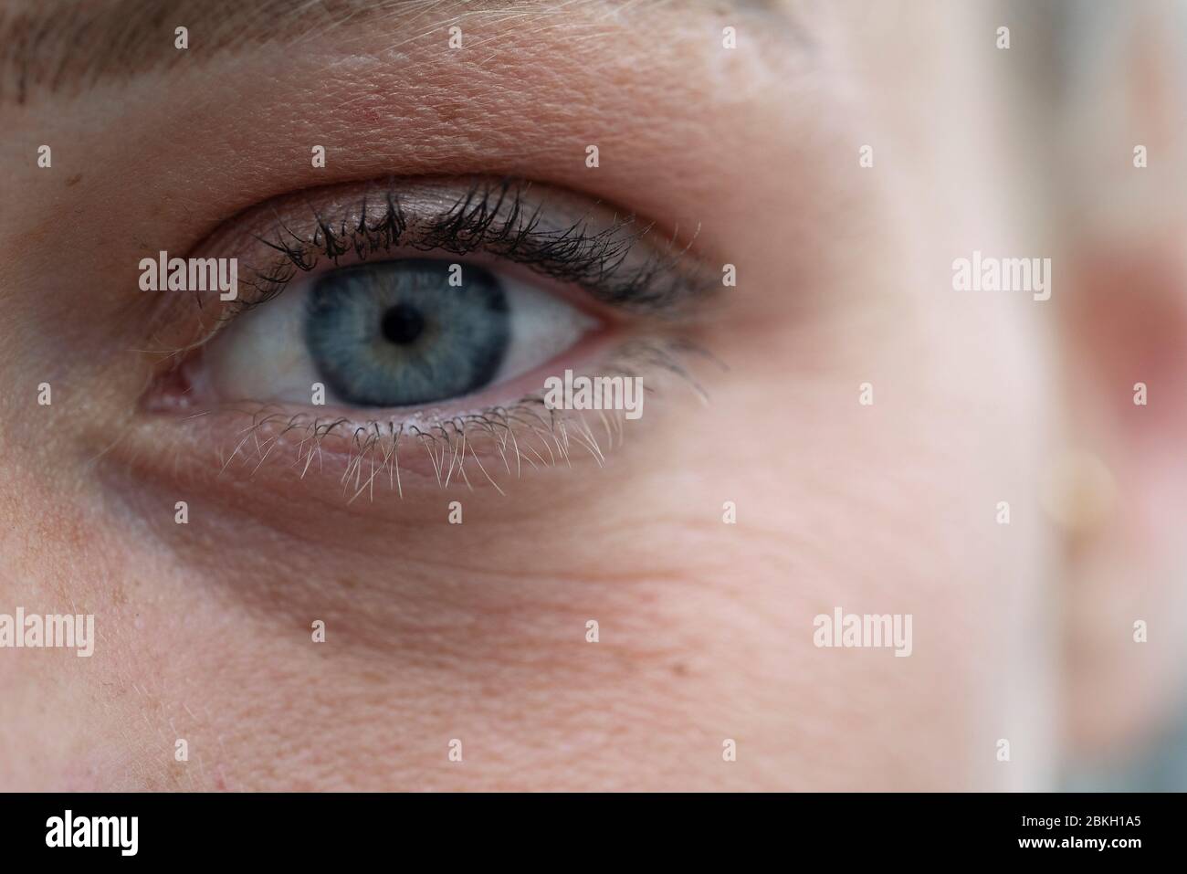 Human close up eye hi-res stock photography and images - Alamy