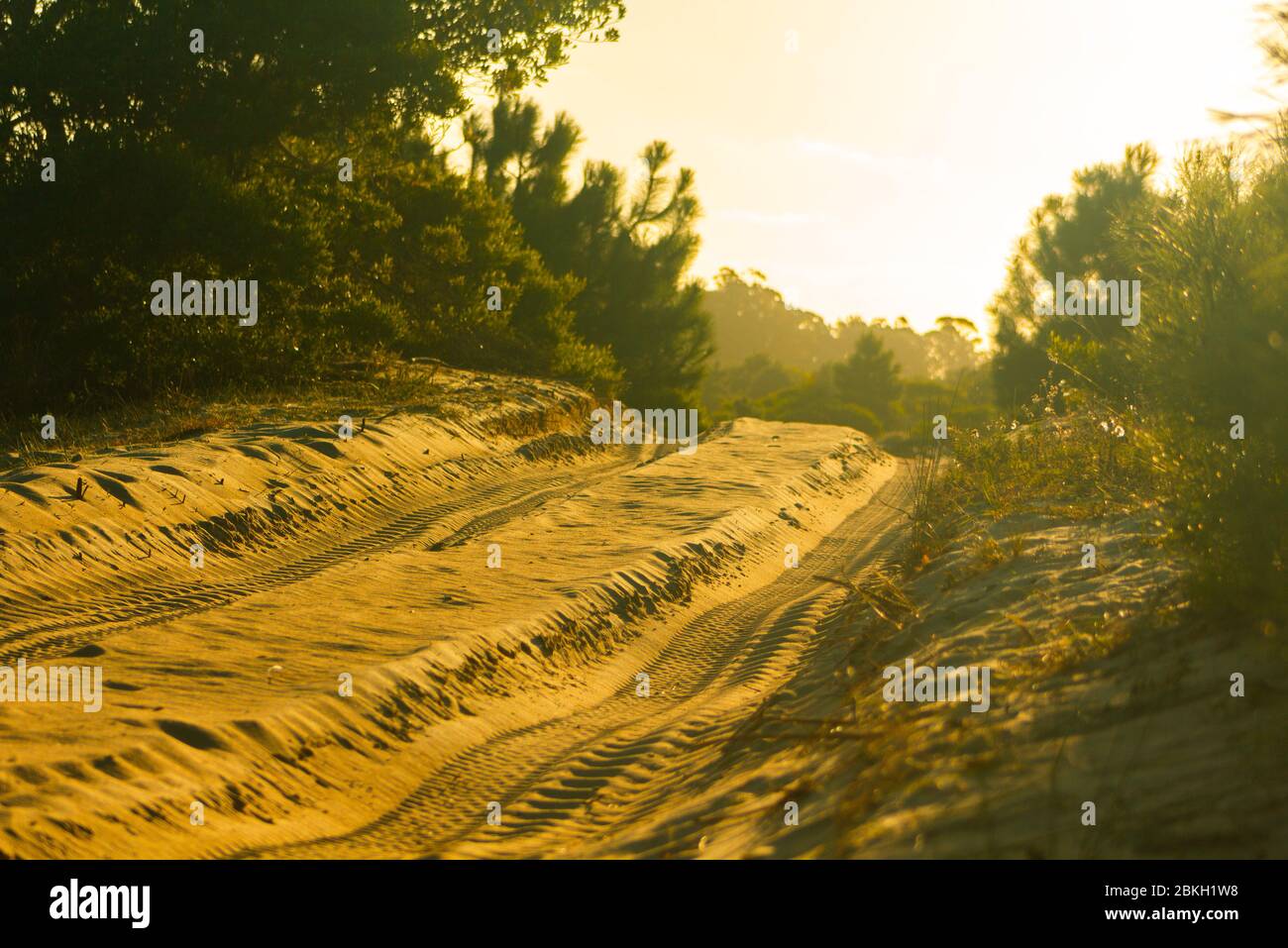 Tyre track hi-res stock photography and images - Alamy