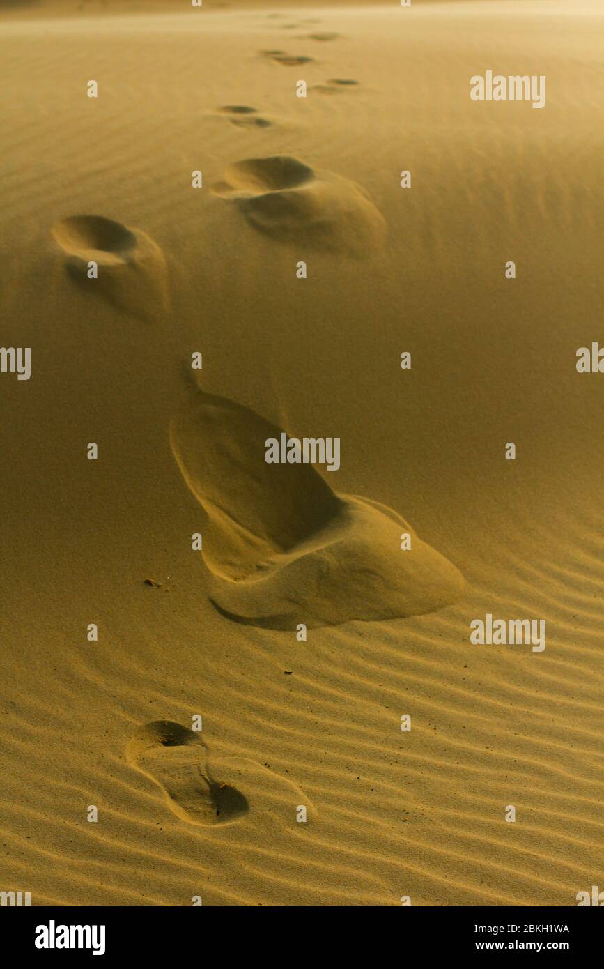 View of footprints Stock Photo - Alamy