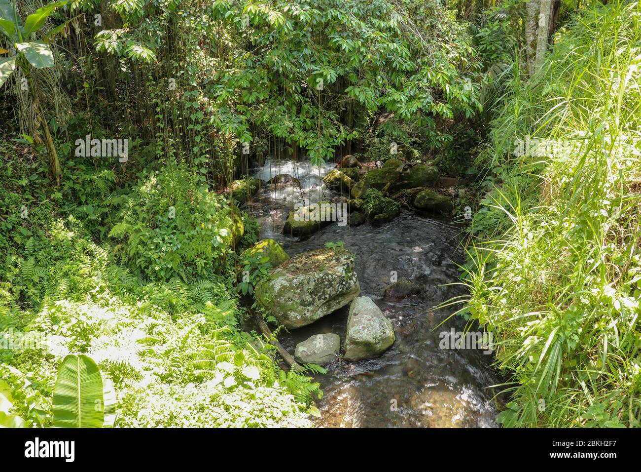 River bed in Pakerisan valley with wild water and big boulders. Water ...