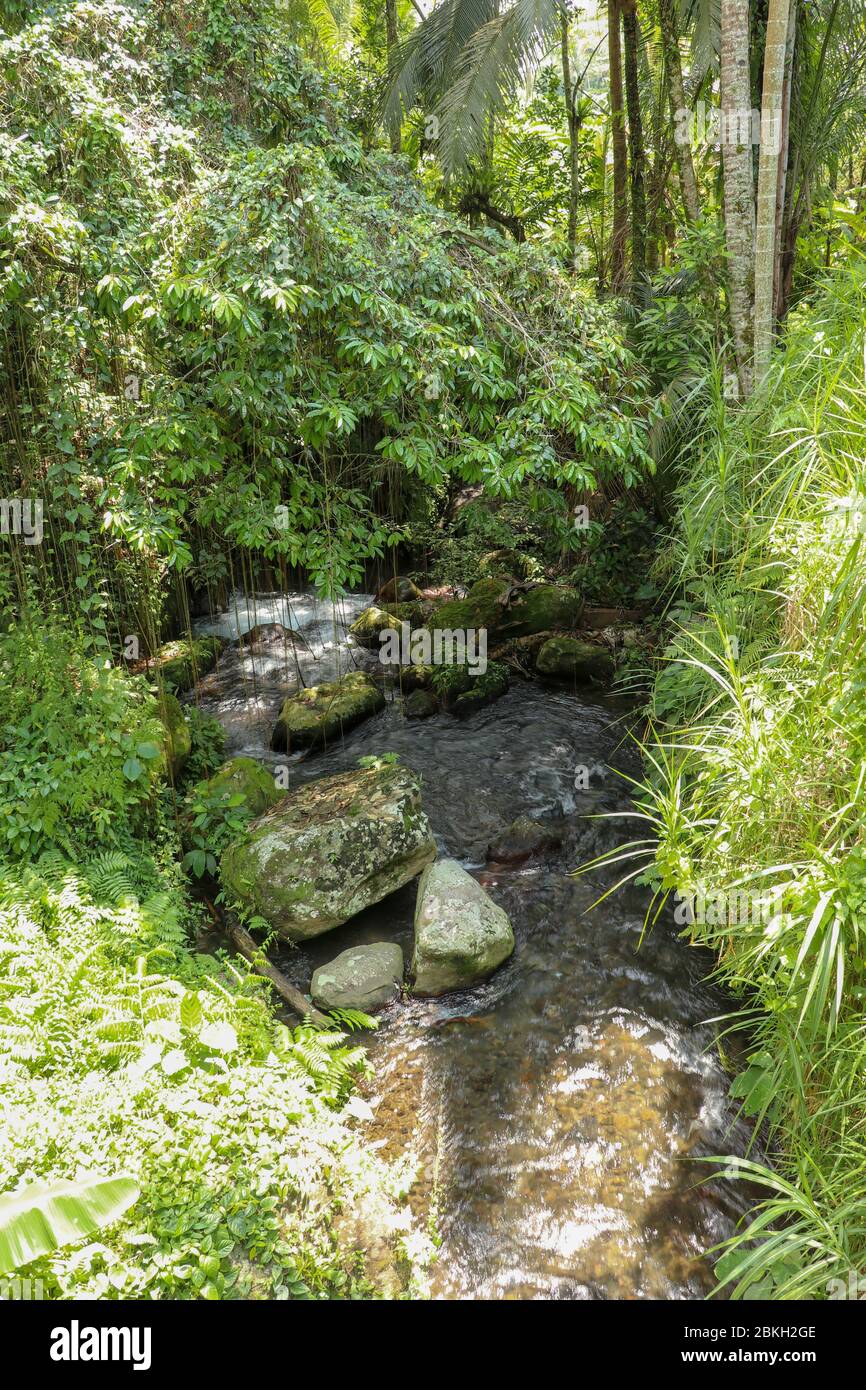 River bed in Pakerisan valley with wild water and big boulders. Water ...