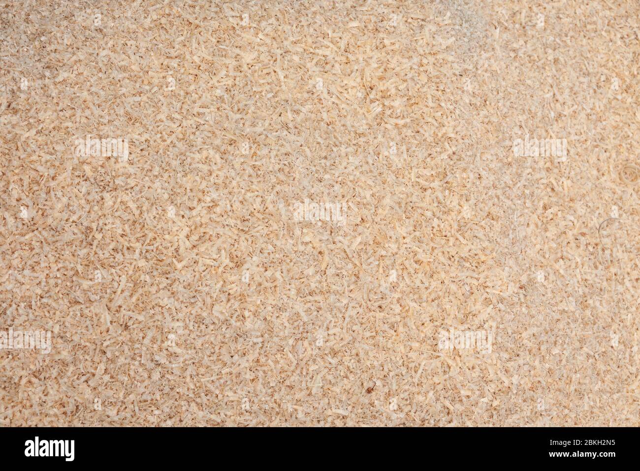 Texture of small sawdust and shavings of white wood Stock Photo - Alamy