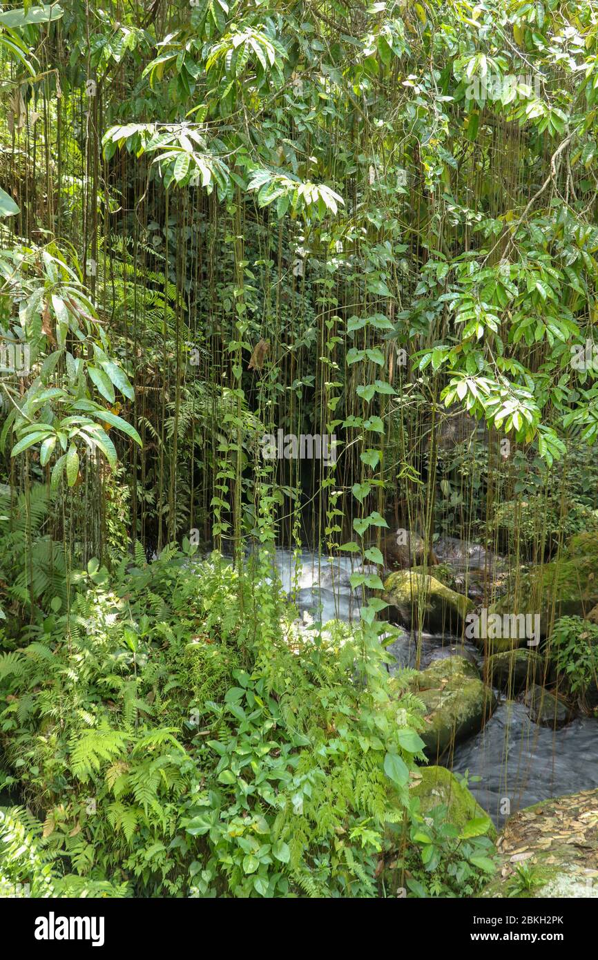 River bed in Pakerisan valley with wild water and big boulders. Long ...