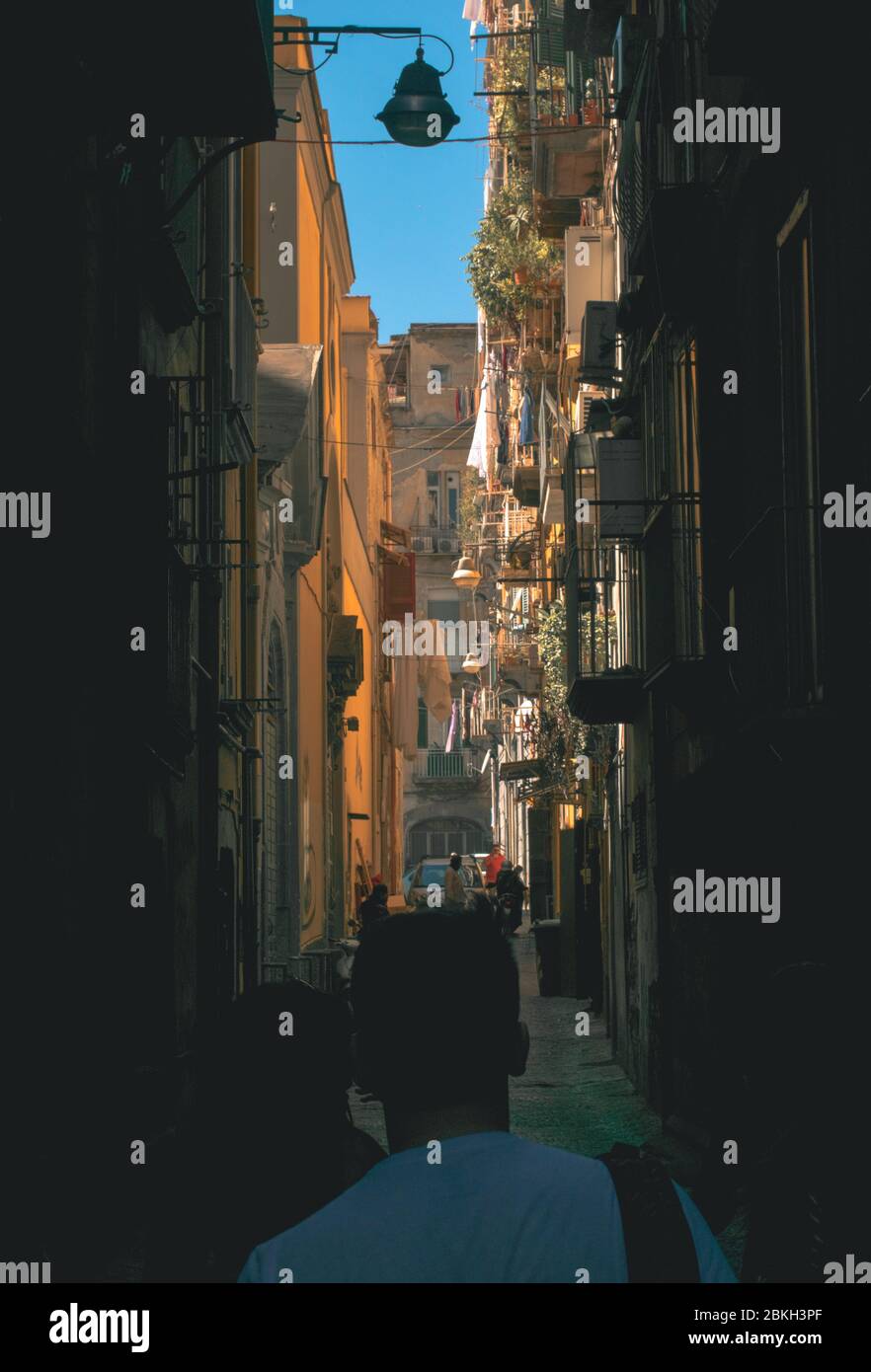 Halley street hi-res stock photography and images - Alamy