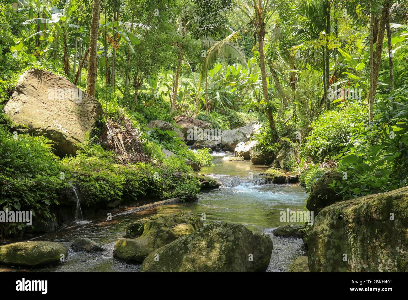 River bed in Pakerisan valley with wild water and big boulders. Water ...
