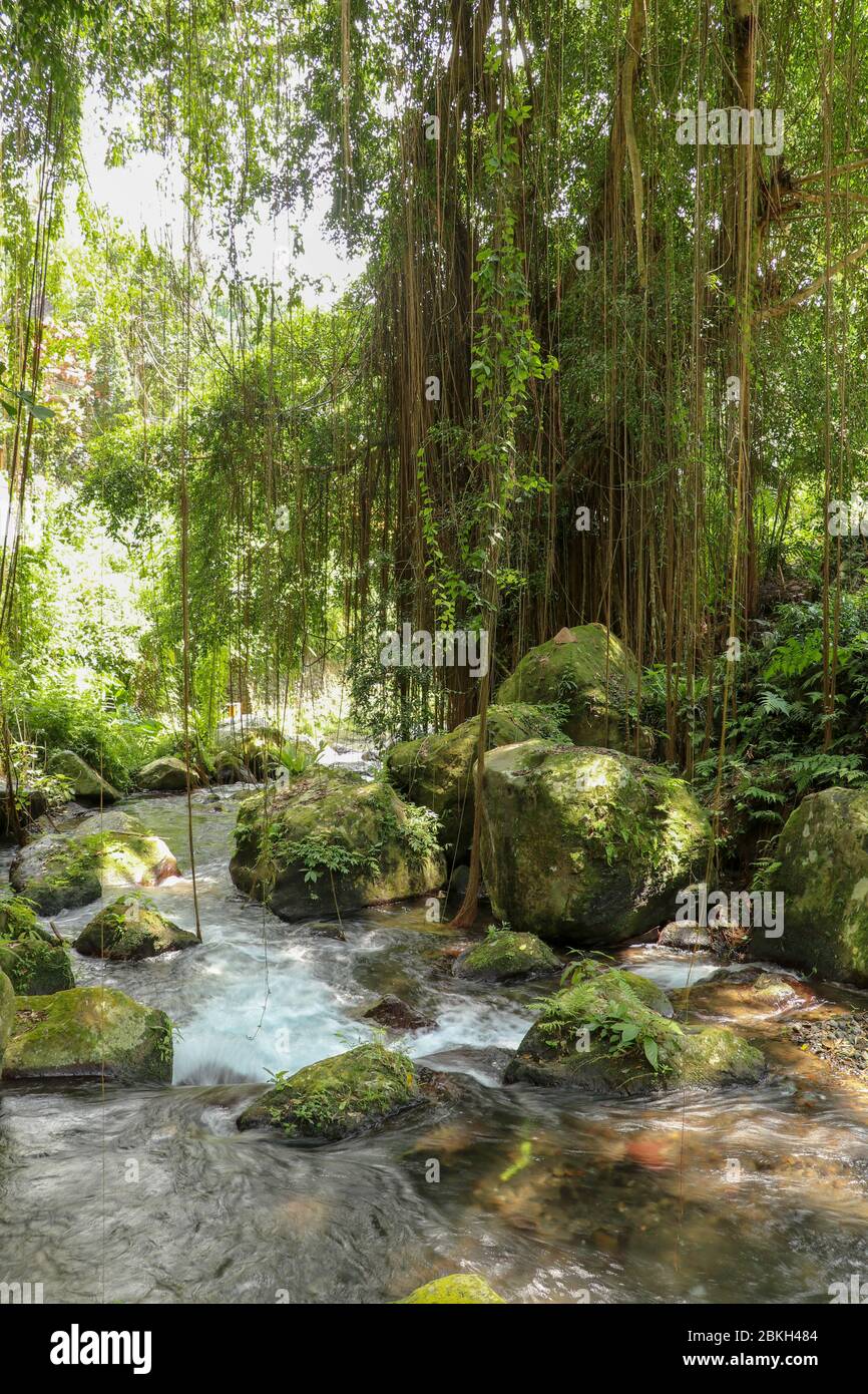 River bed in Pakerisan valley with wild water and big boulders. Water ...