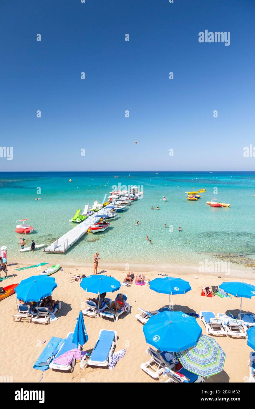 Sea fig tree hi-res stock photography and images - Alamy