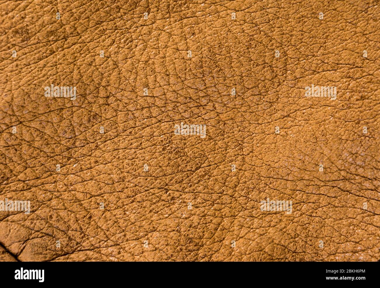 Old vintage genuine soft brown leather texture background, top layer ...