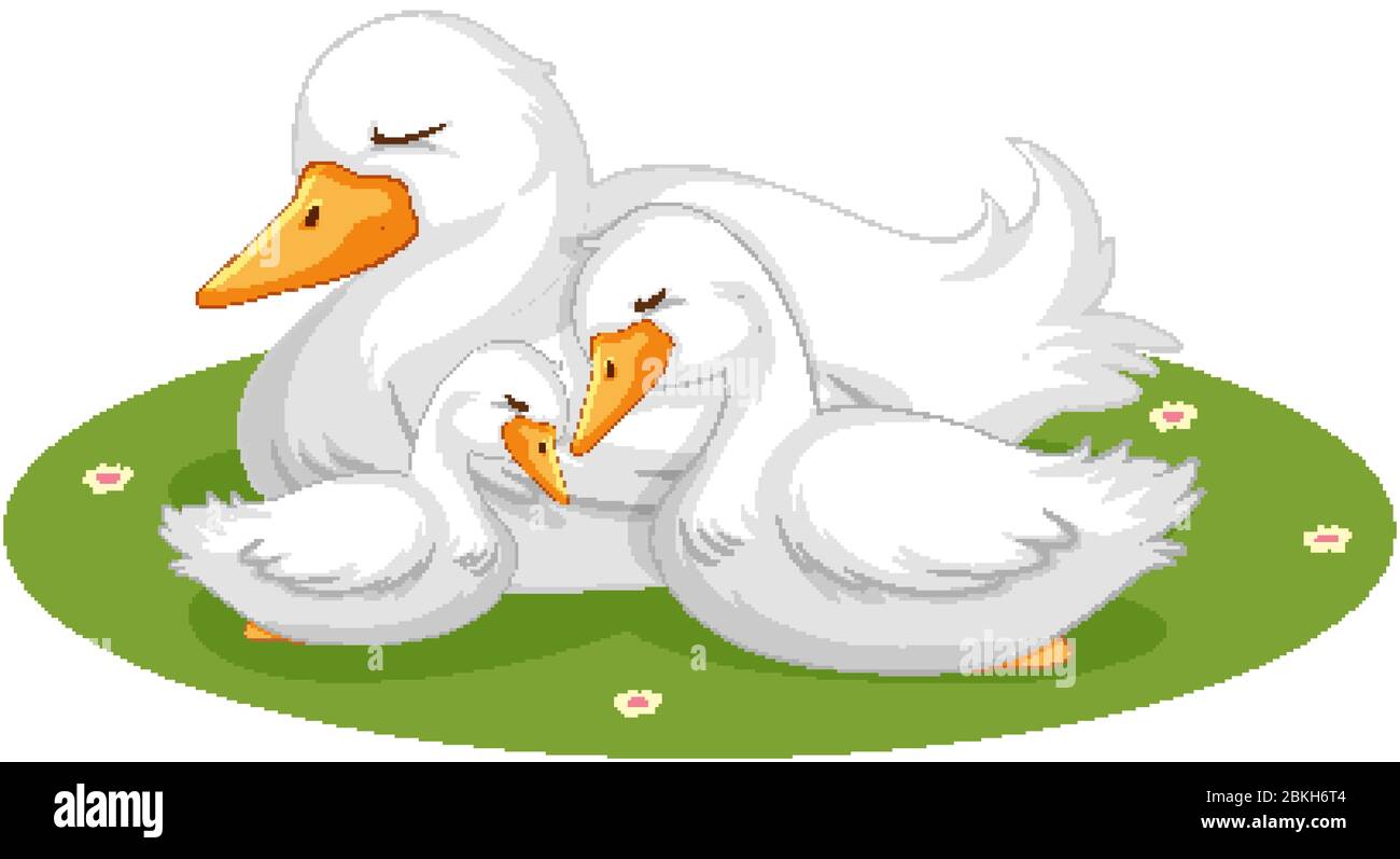 Cute duck sleeping on grass illustration Stock Vector Image & Art - Alamy