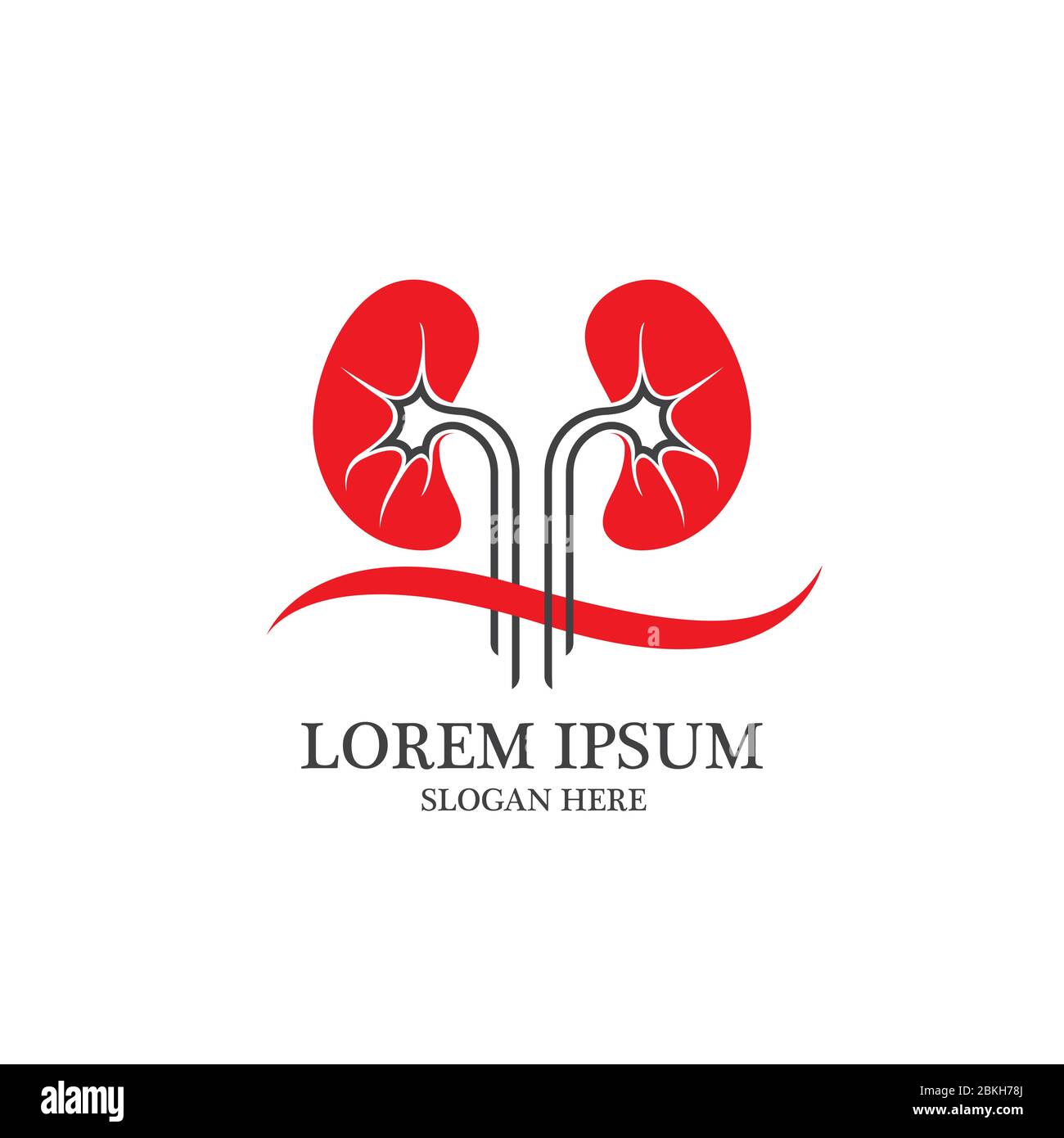 Kidney vector hi-res stock photography and images - Alamy