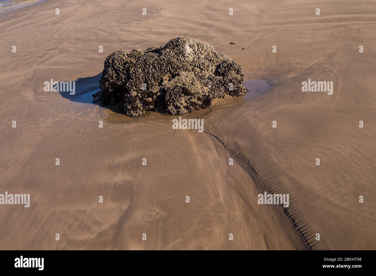 Structured sand hi-res stock photography and images - Alamy