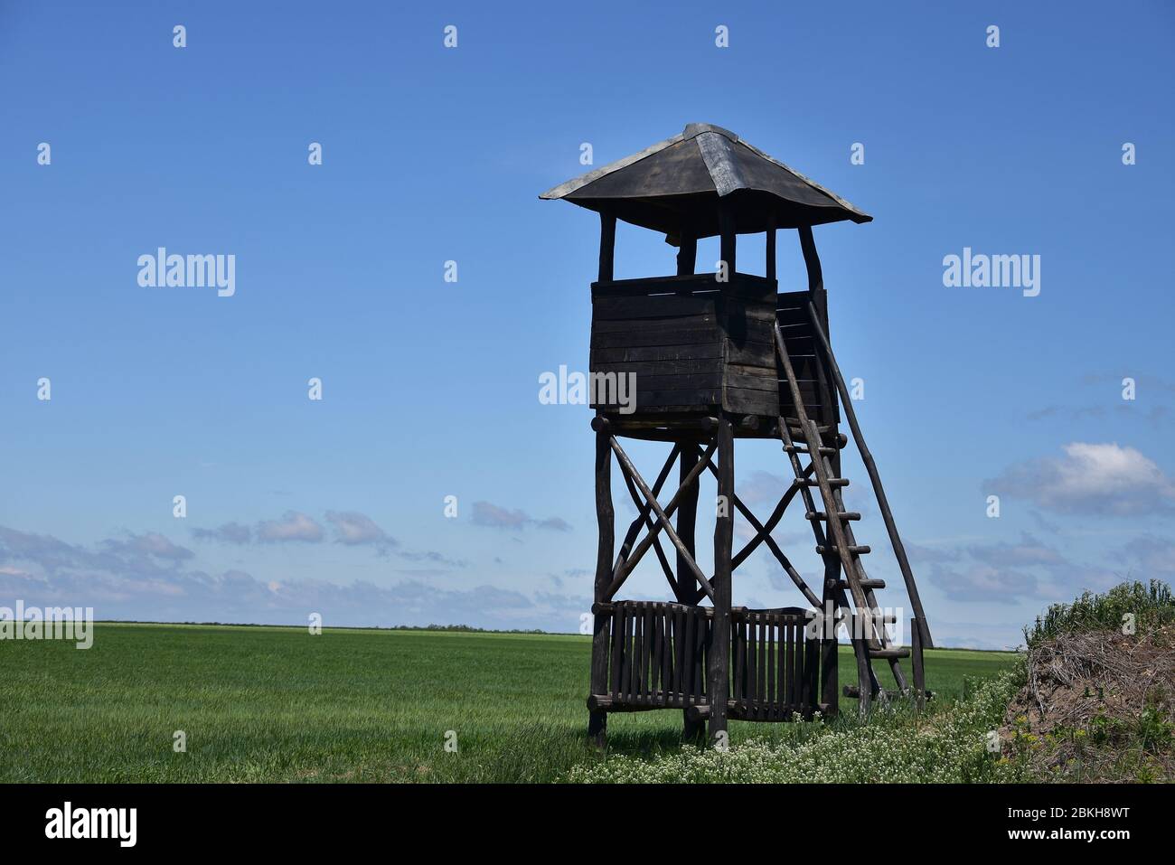 Handmade hunters stand made of wood in rural part of the country Stock ...