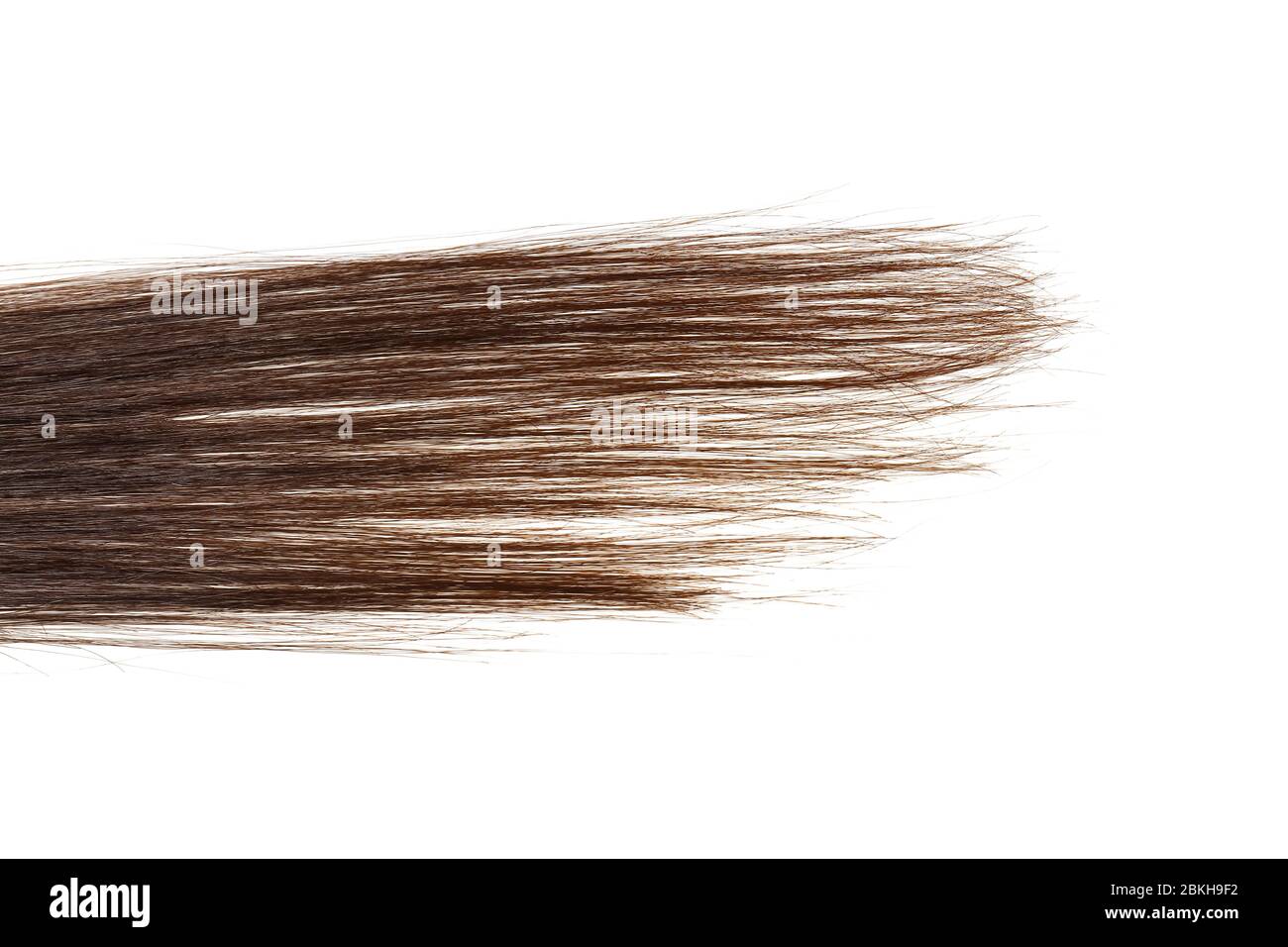 Strand of beautiful straight hair on white background Stock Photo - Alamy