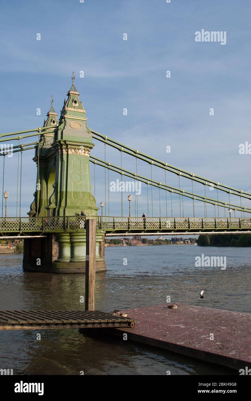 Suspension Bridge Victorian Architecture Engineering Green Gold ...