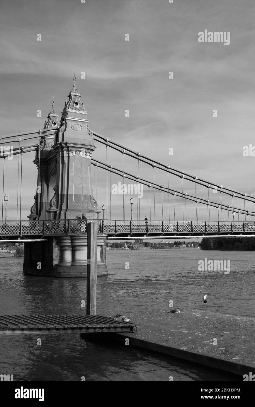 Suspension Bridge Victorian Architecture Engineering Green Gold ...