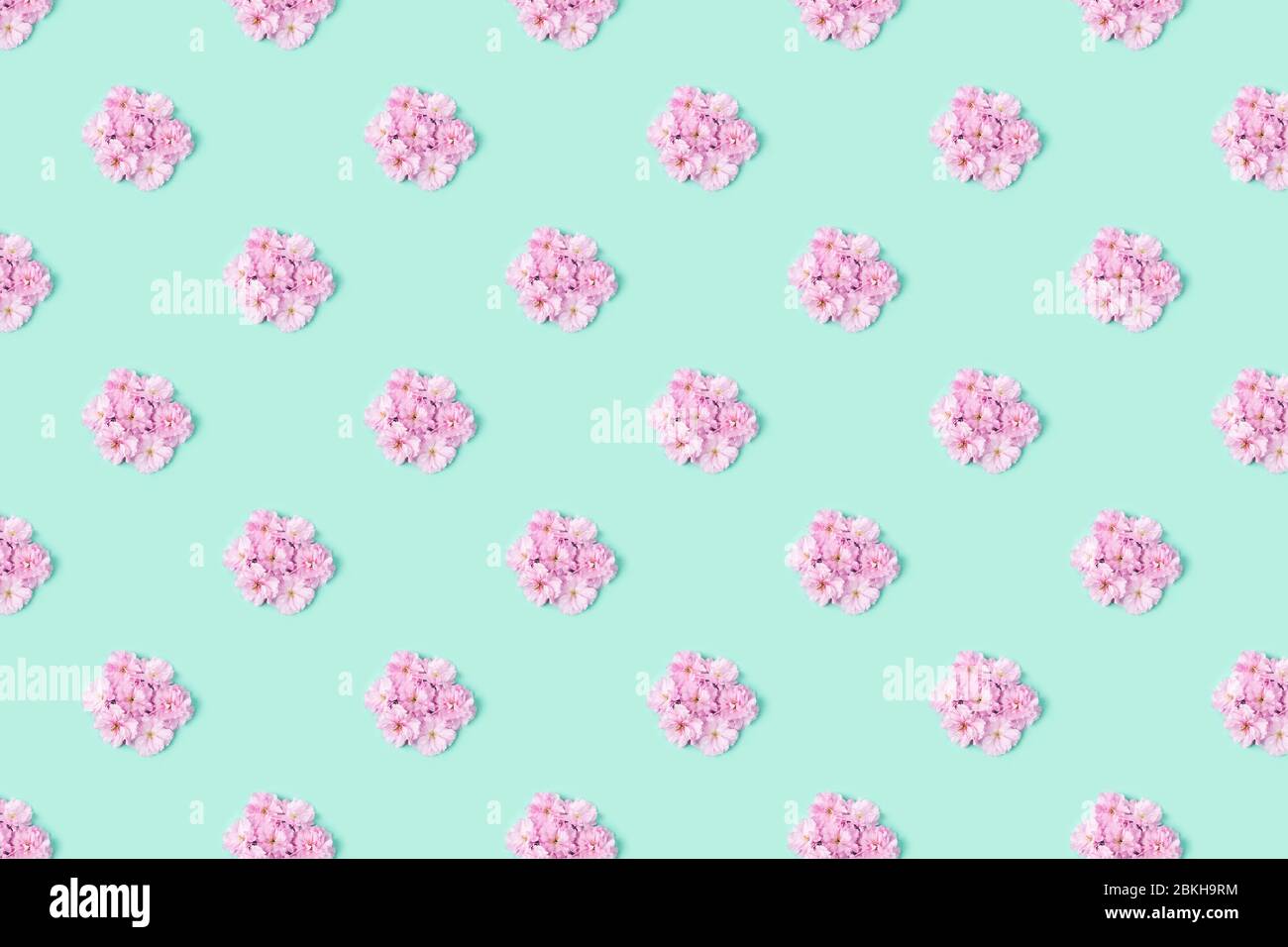 Cute spring sakura blossom pattern. Flower floral pattern with sakura ...