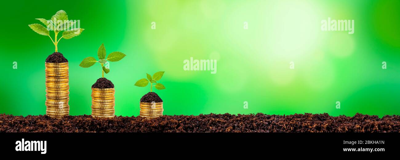 Symbol of growth hi-res stock photography and images - Alamy