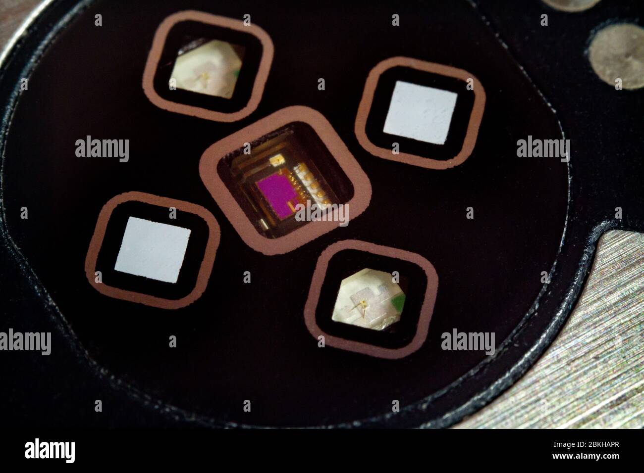 Backside of a smartwatch with all sensors for measuring blood pressure ...