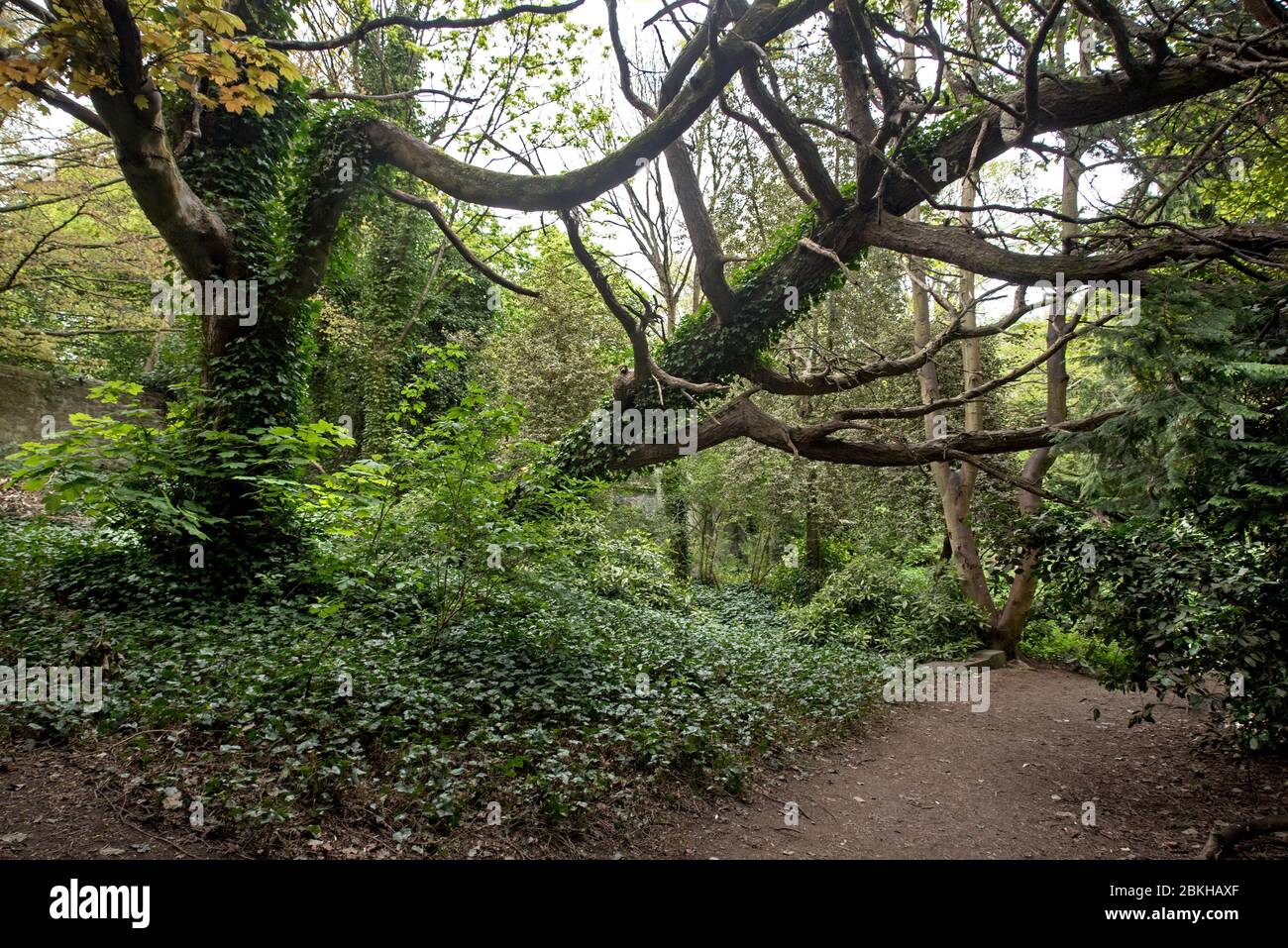 Graveyard warriston cemetery hi-res stock photography and images - Alamy