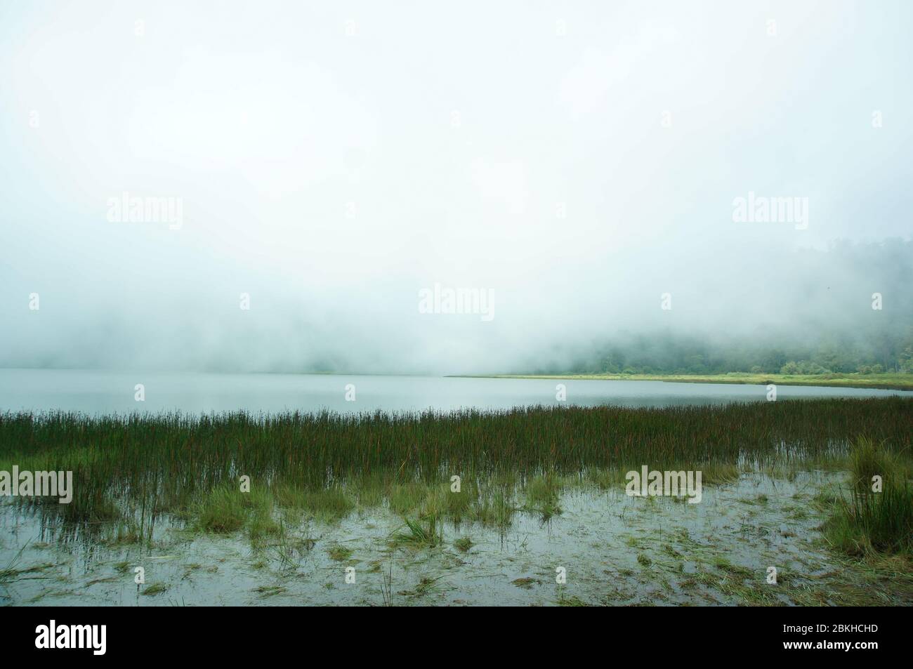 Lake Taman Hidup on the slopes of Mount Argopuro has natural beauty ...