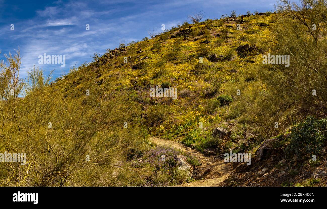 Hilly terrain mountain path green hi-res stock photography and images ...