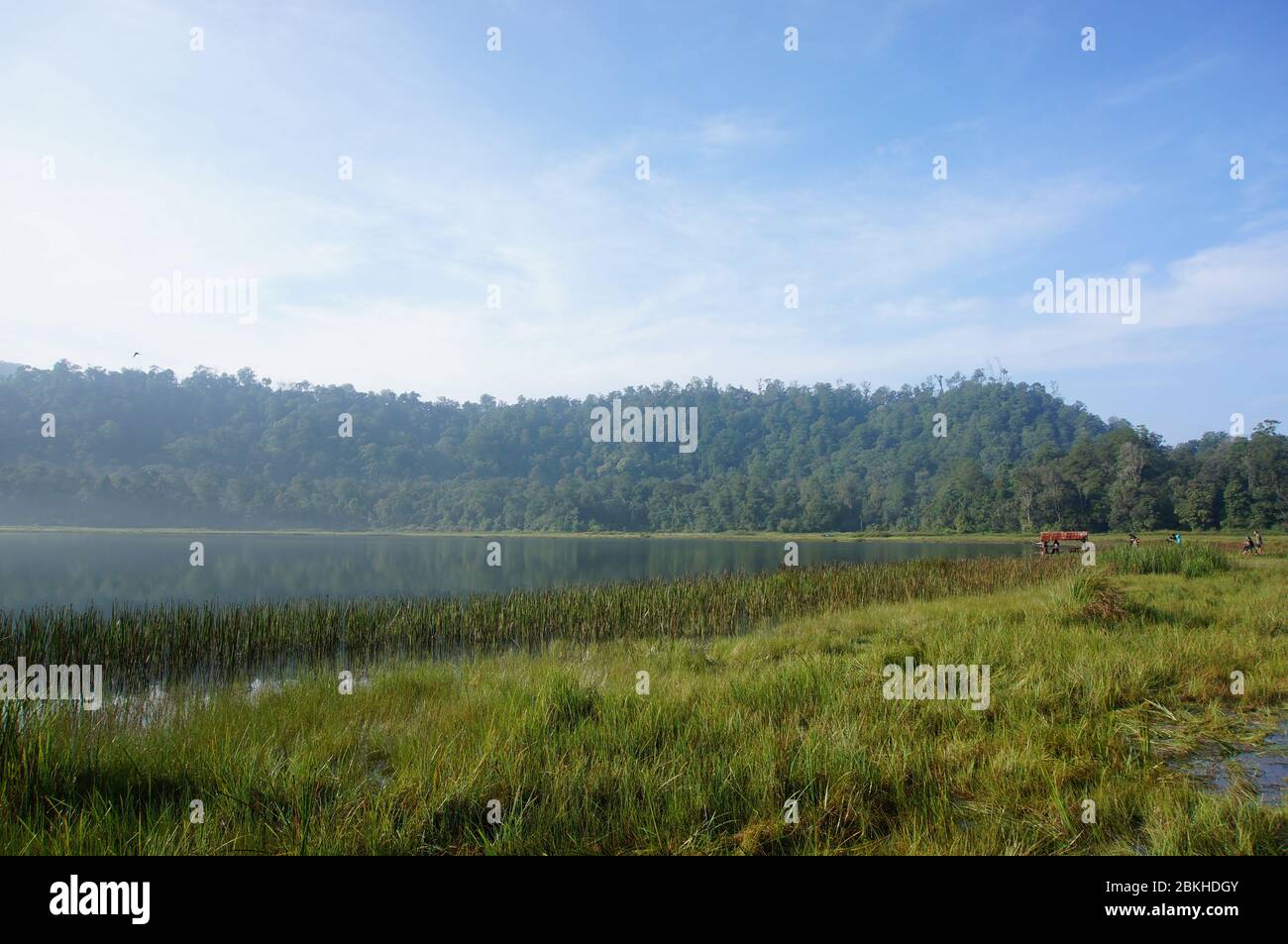 Lake Taman Hidup on the slopes of Mount Argopuro has natural beauty ...