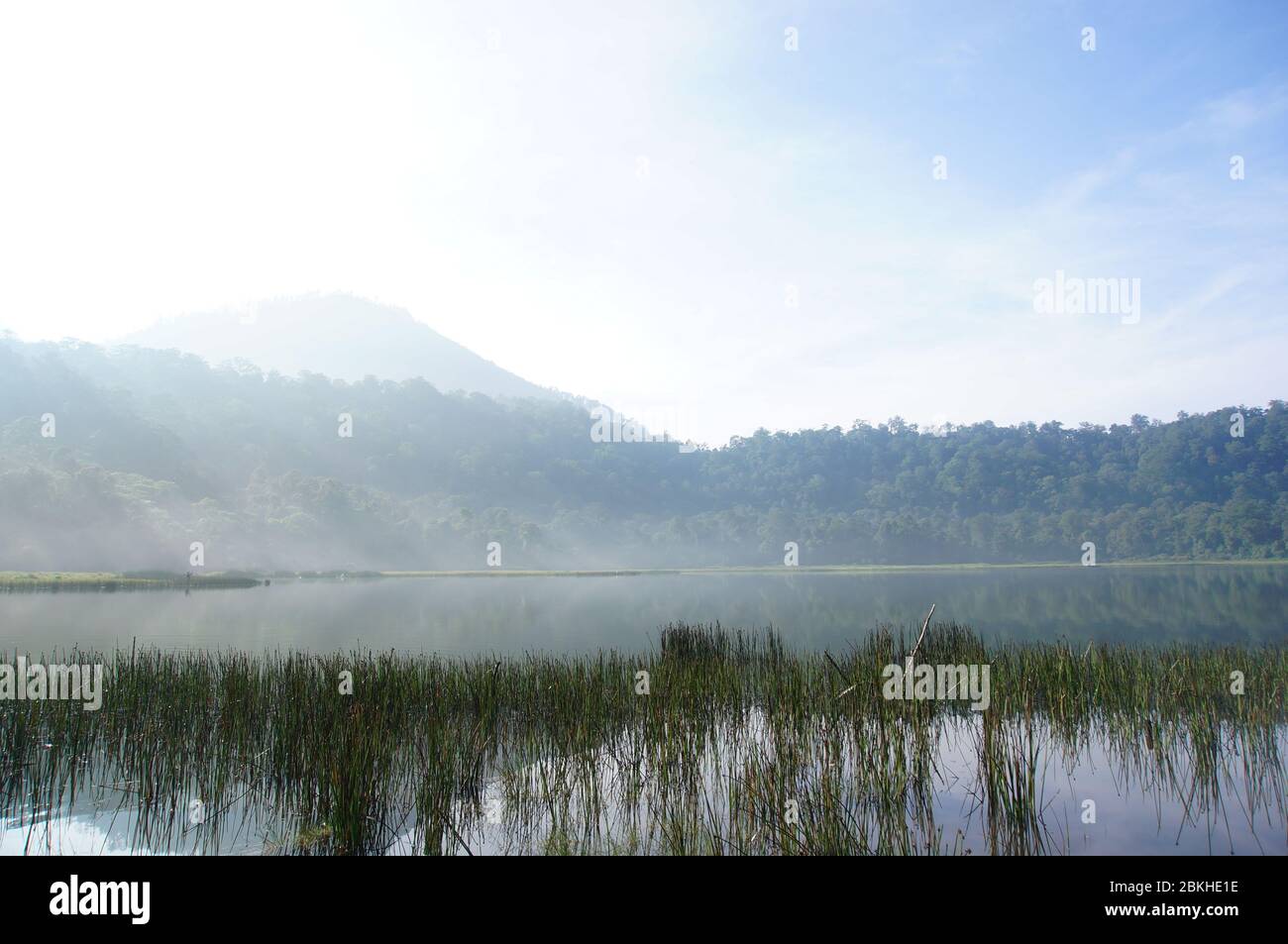 Lake Taman Hidup on the slopes of Mount Argopuro has natural beauty ...