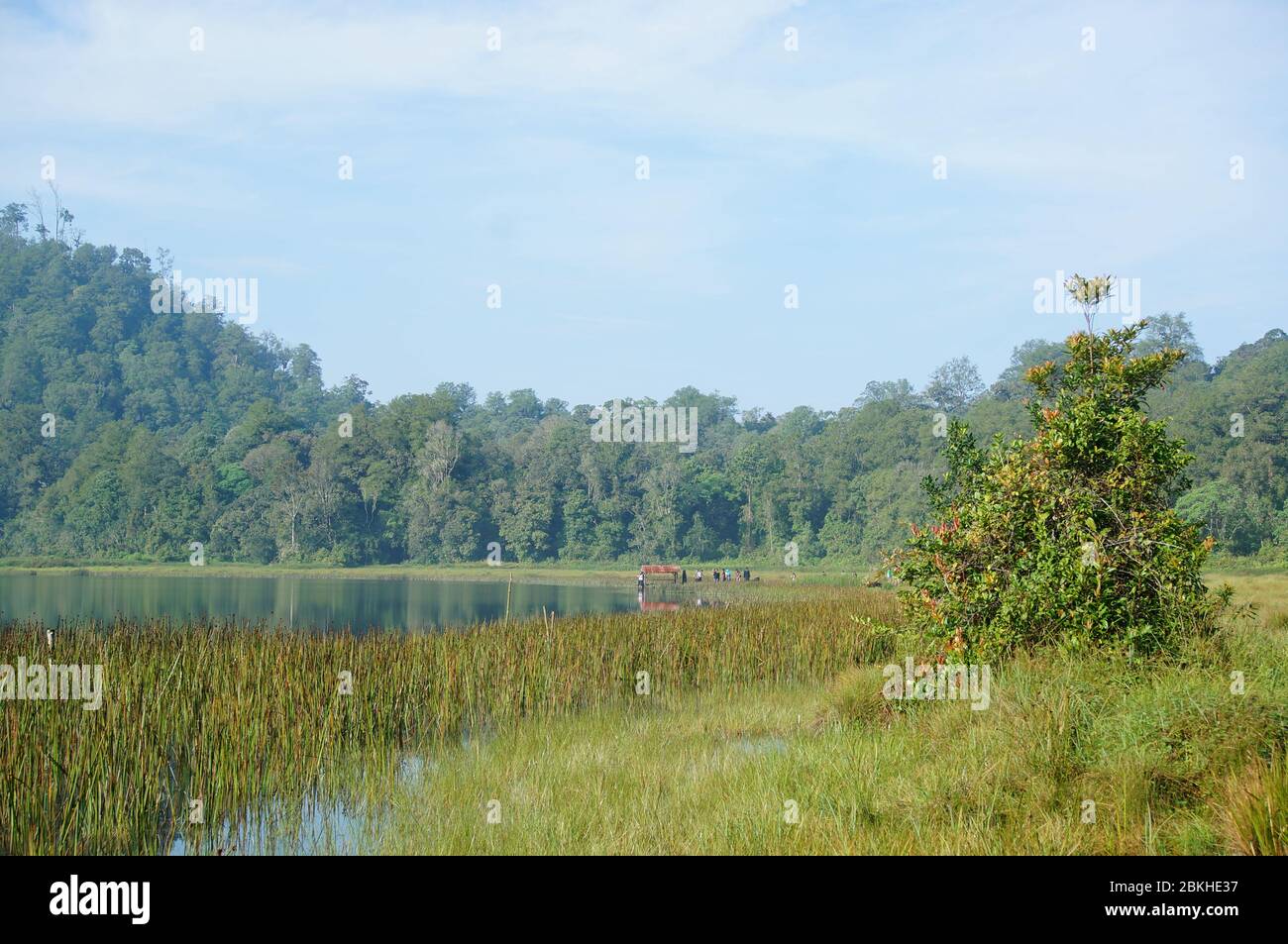 Lake Taman Hidup on the slopes of Mount Argopuro has natural beauty ...