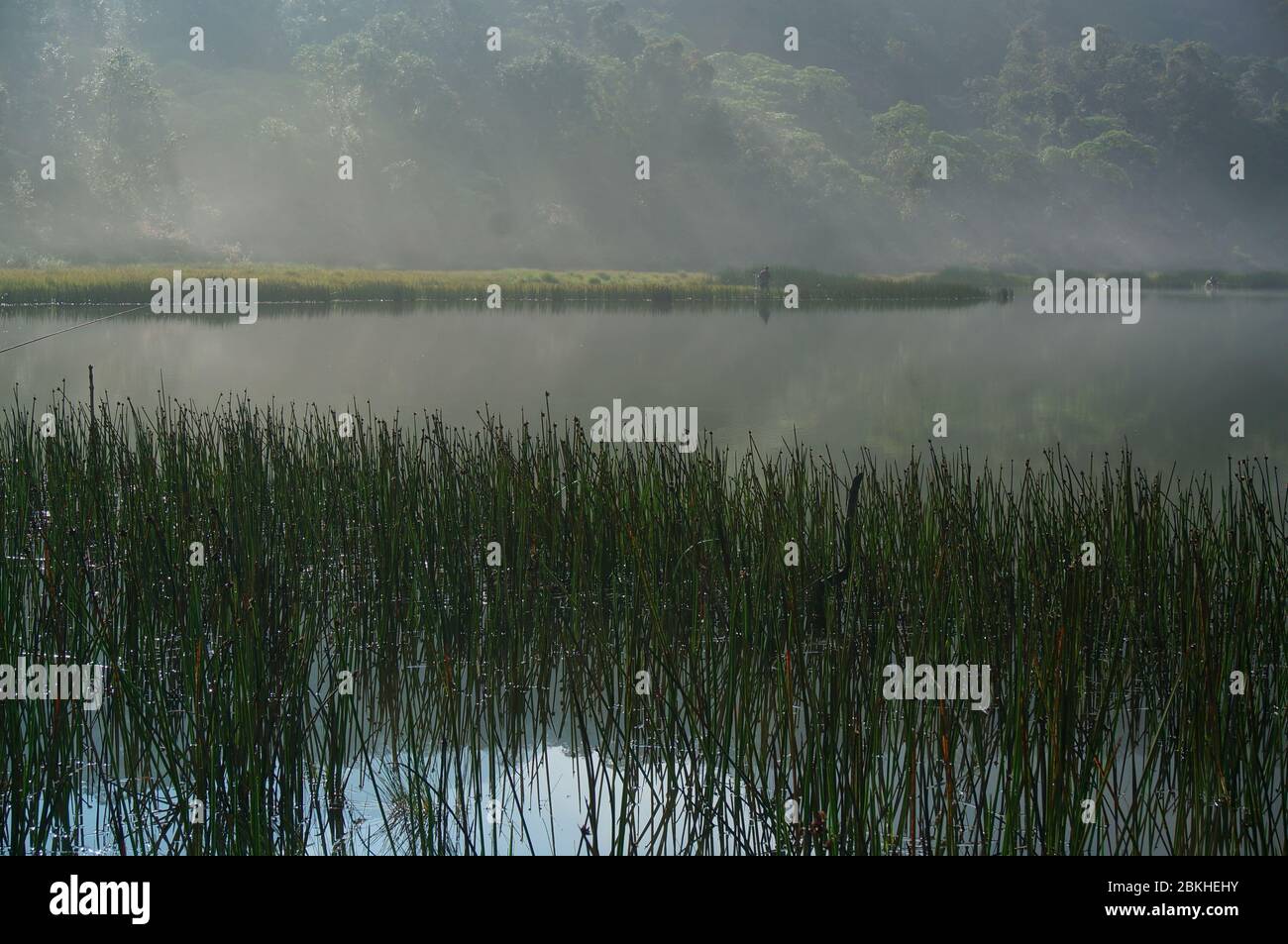 Lake Taman Hidup on the slopes of Mount Argopuro has natural beauty ...