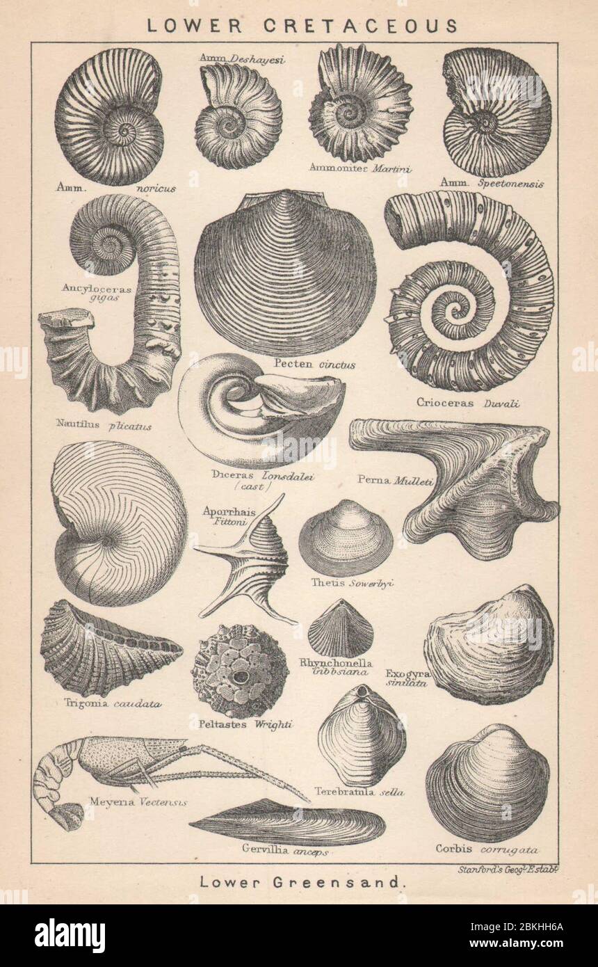 Lower greensand hi-res stock photography and images - Alamy