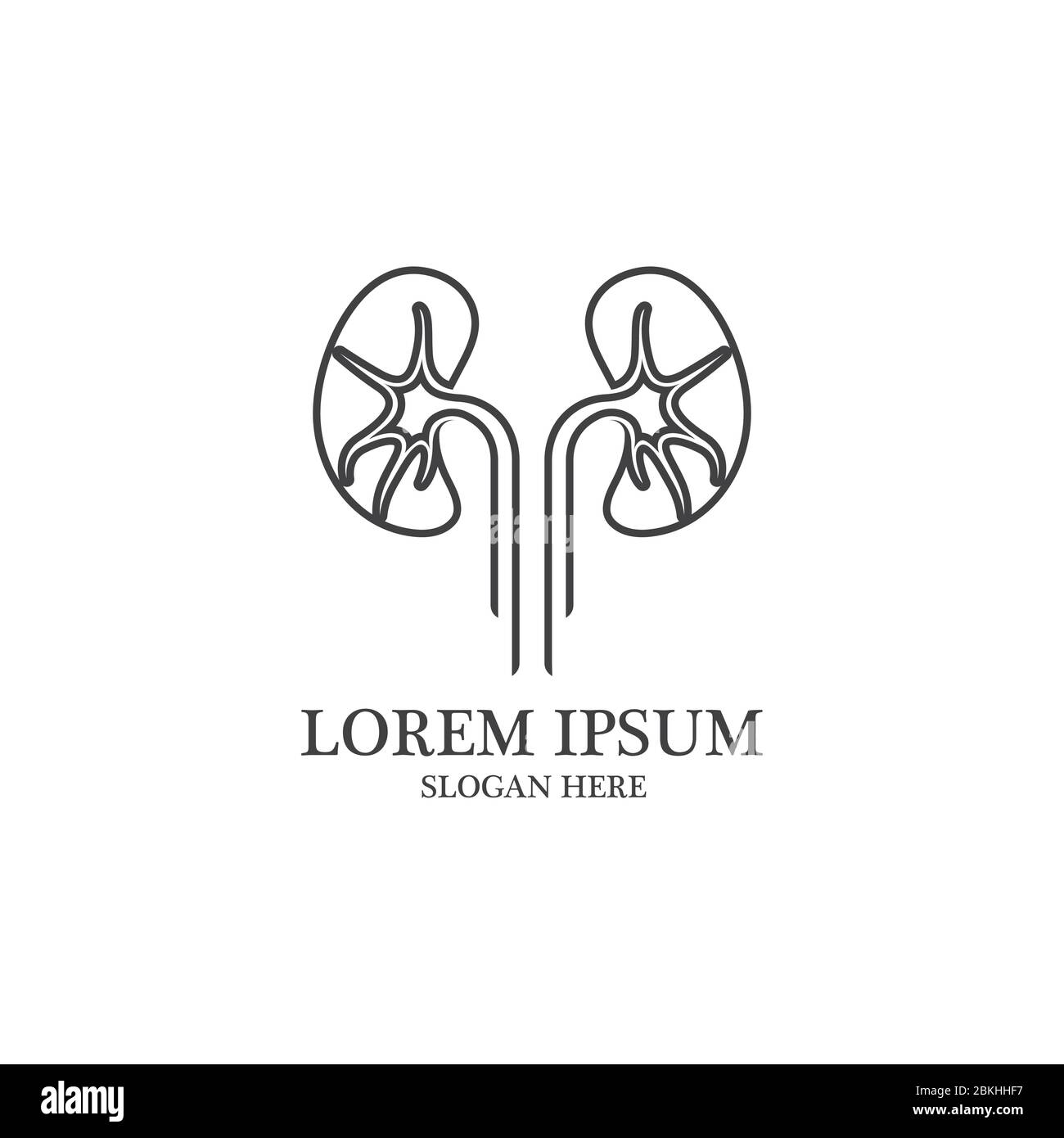kidney vector illusrtation design logo template Stock Vector Image ...