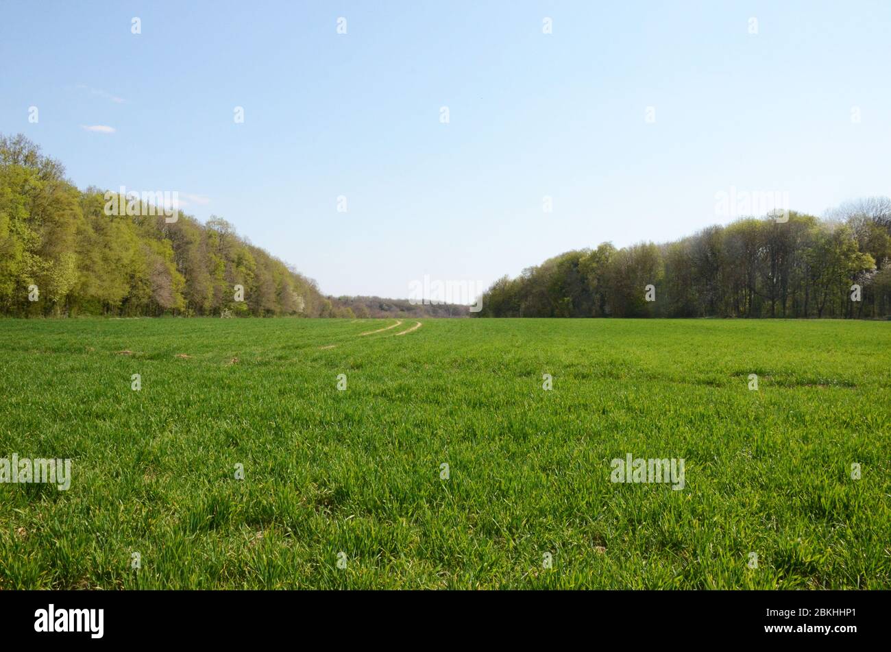 Stylecolor hi-res stock photography and images - Alamy