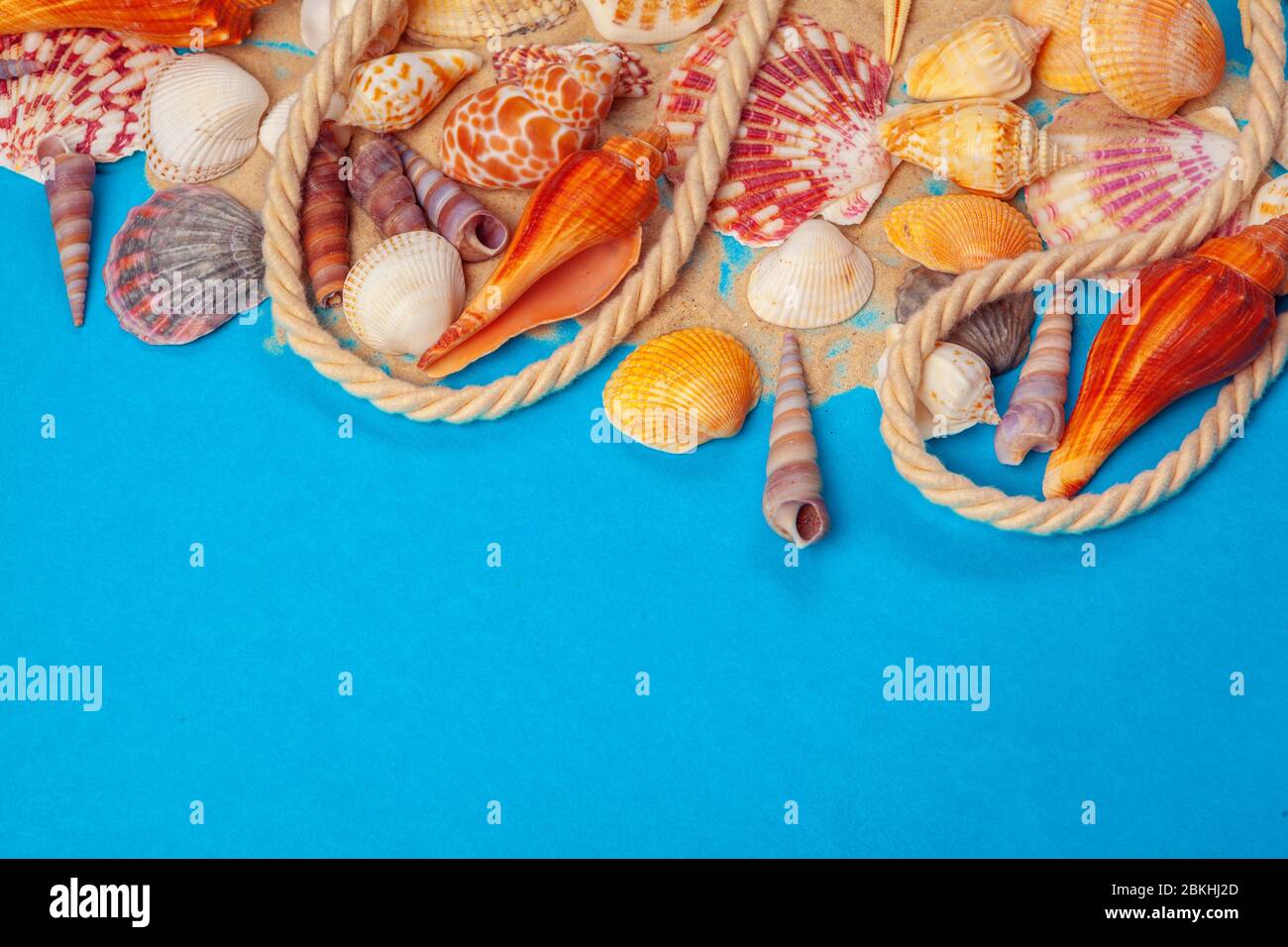 Flat lay. Top view. Frame of shells of various kinds on a blue ...
