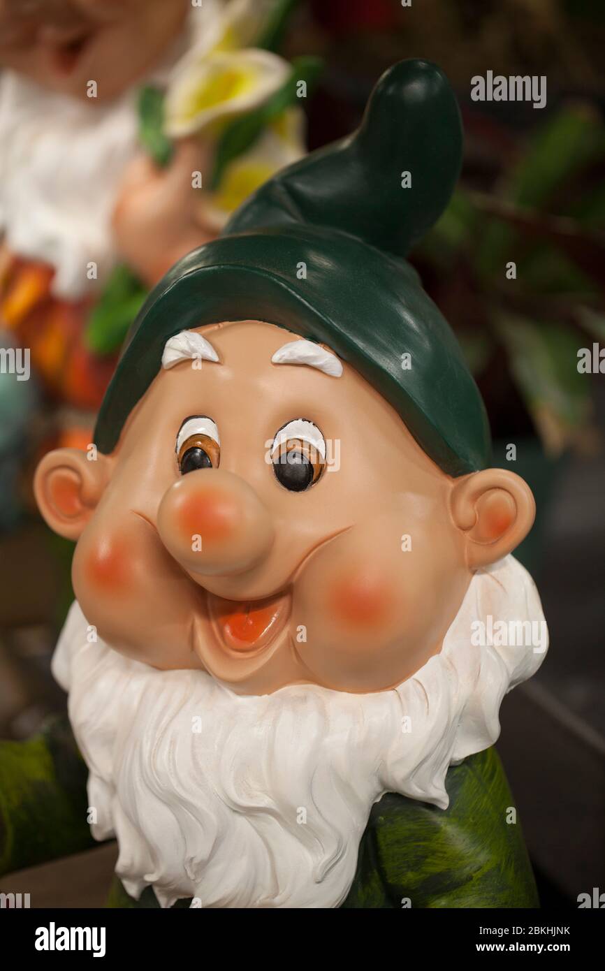 Cute dwarf living in a garden. Smiling garden gnome decoration against ...