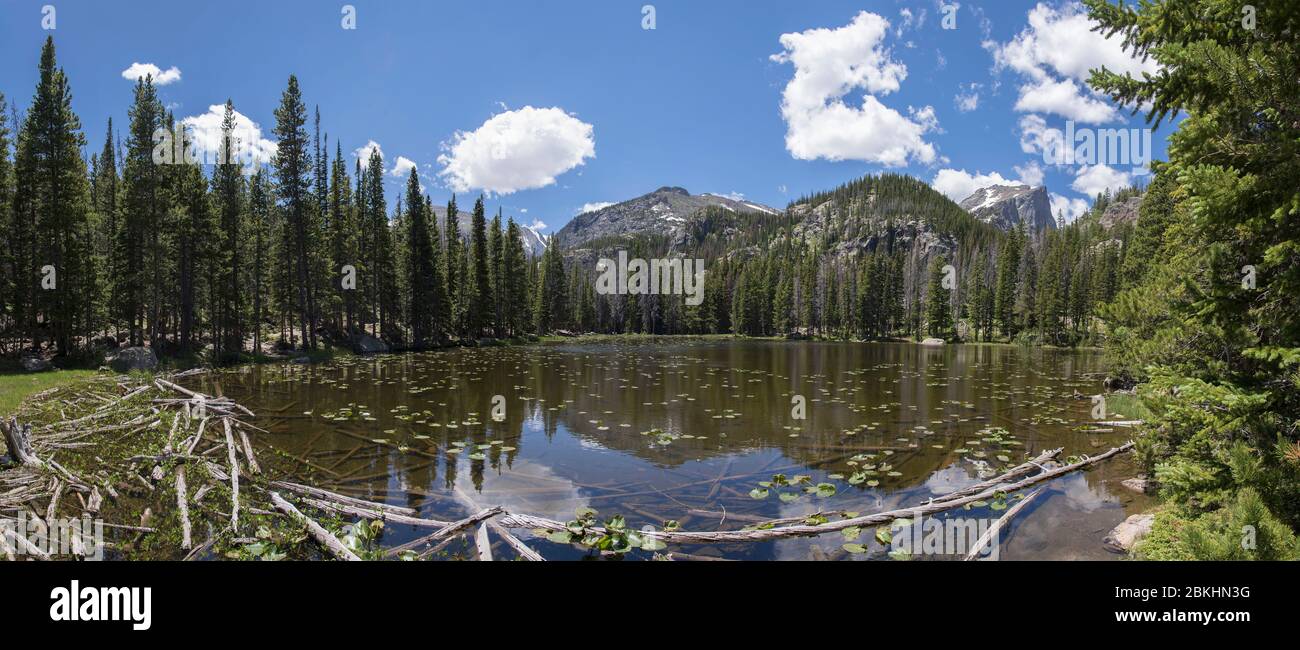 Nymph Lake, Rocky Mountain National Park Panoramic, Colorado Stock ...