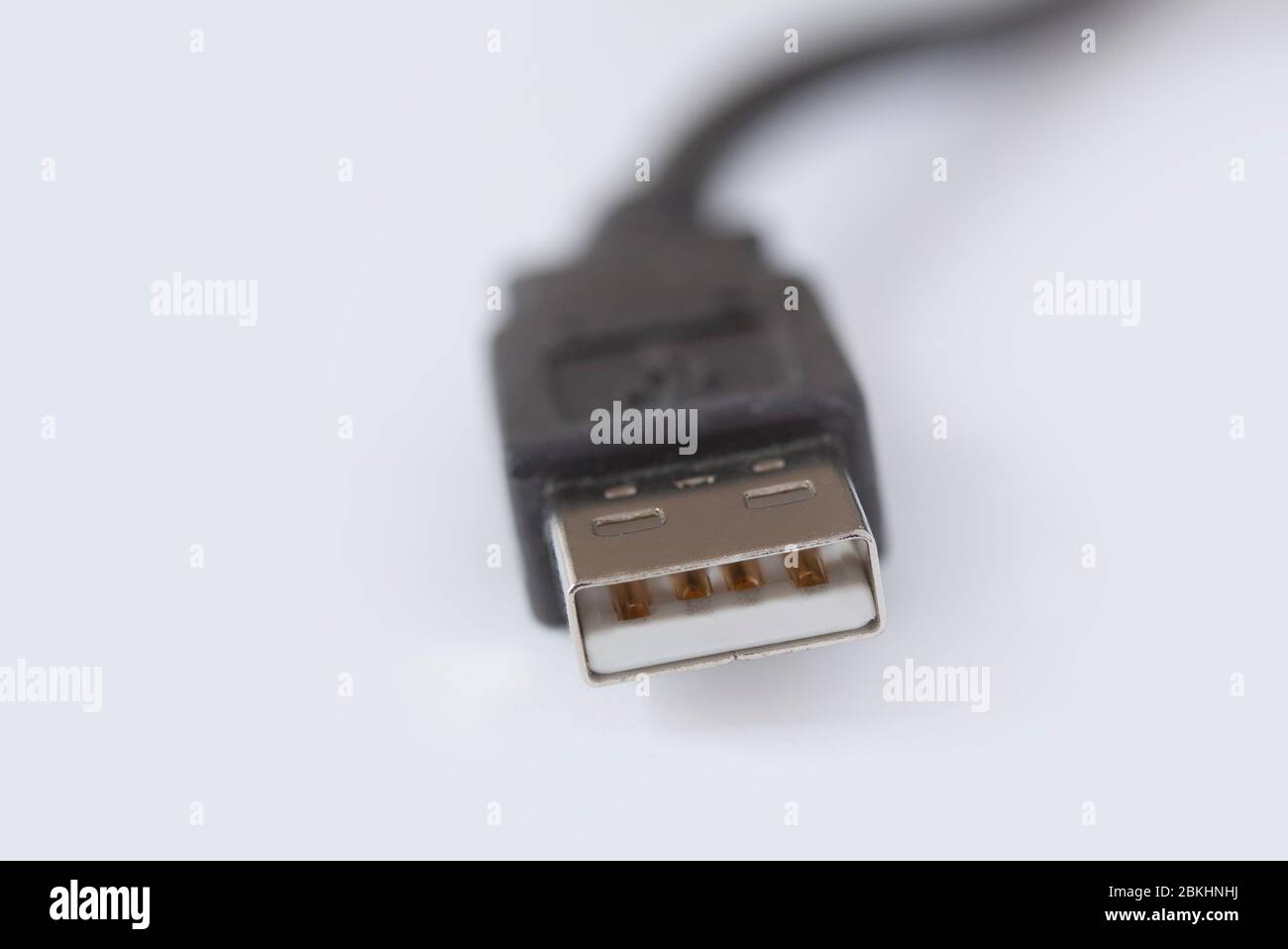 Macro photo of black micro usb cord, cable and connector. Shallow depth of field on white ...