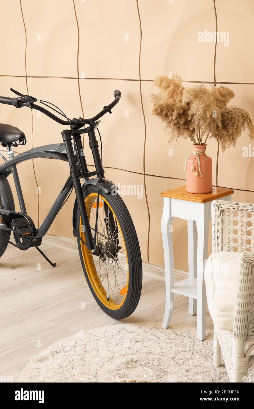 Interior of modern living room with bicycle Stock Photo - Alamy
