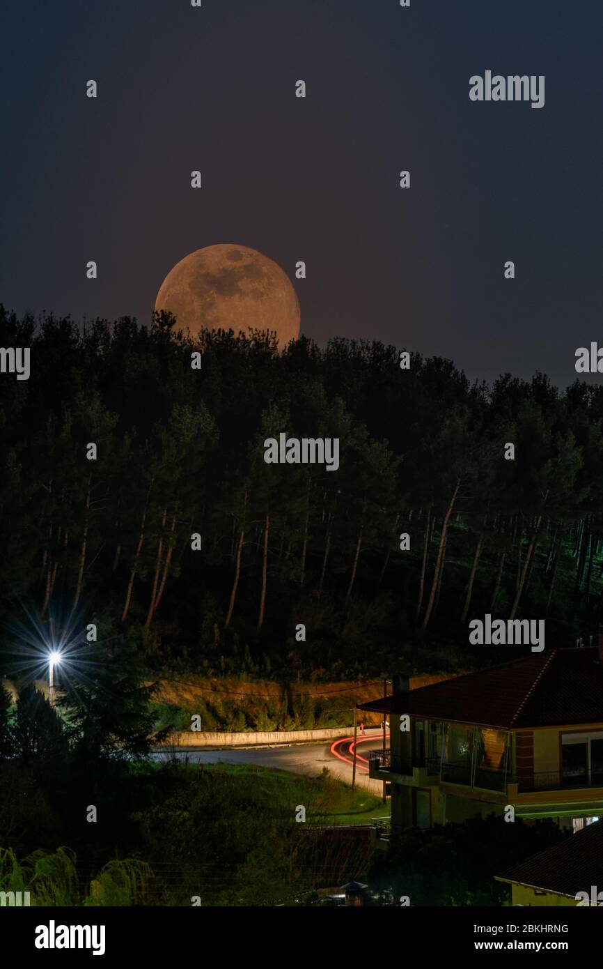 The full moon rises through the trees of a forest, in front of the ...