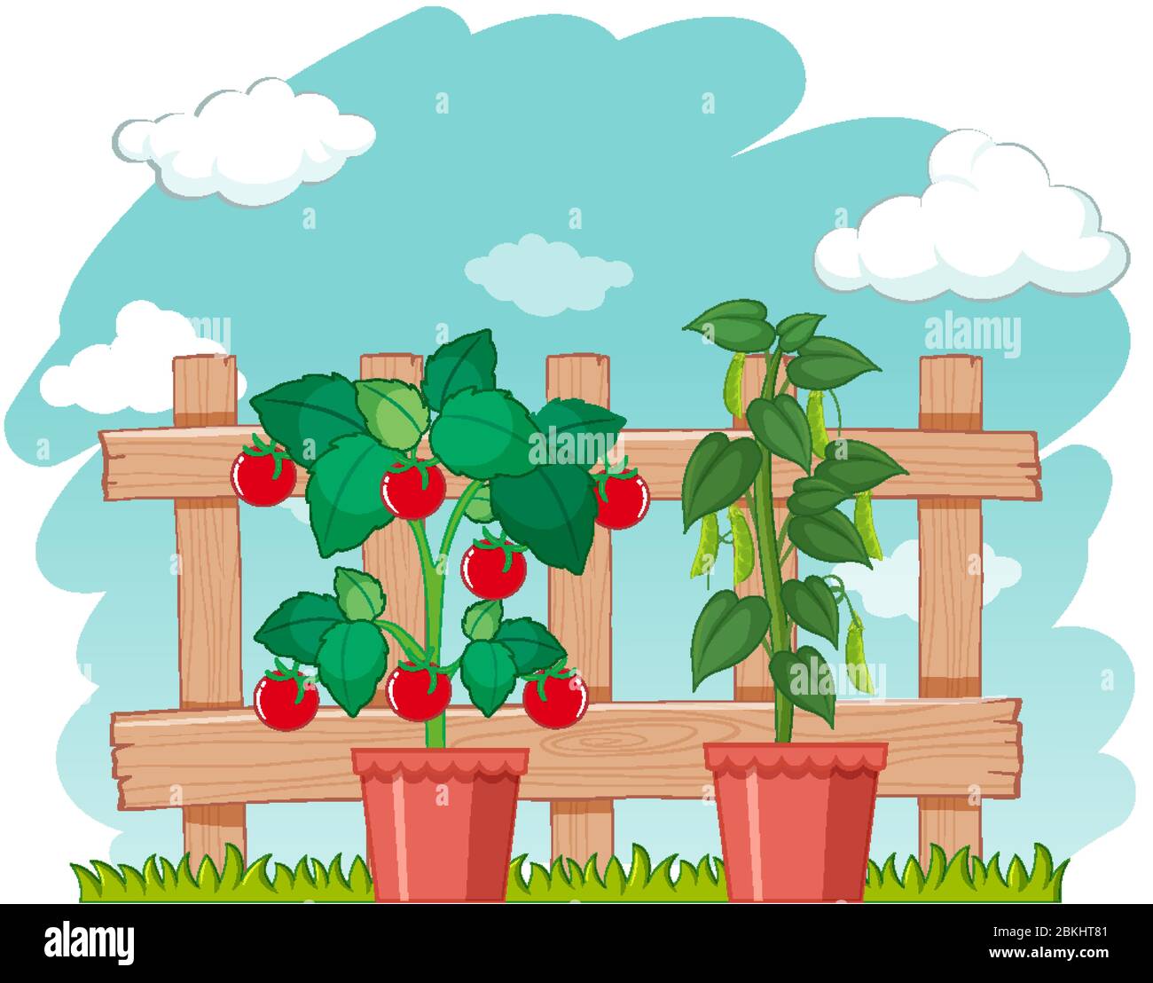 Farm scene with fresh vegetables growing illustration Stock Vector ...