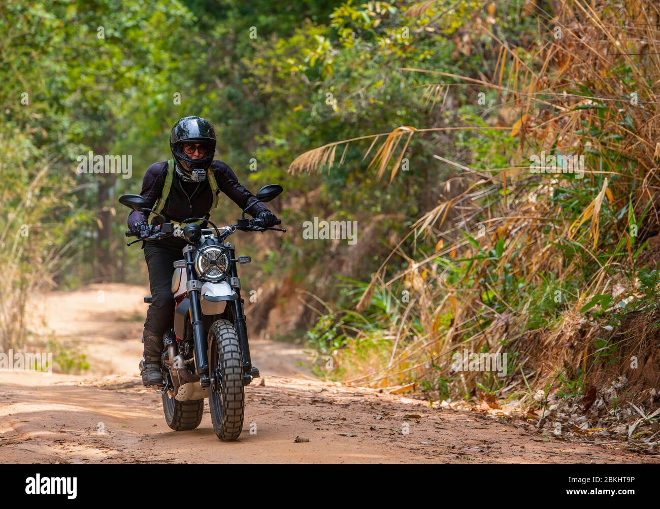 woman riding her scrambler type motorcycle through forrest Stock Photo ...