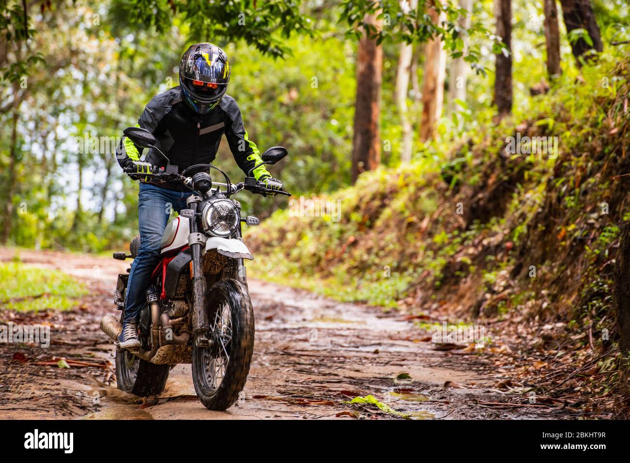 Through forrest hi-res stock photography and images - Alamy
