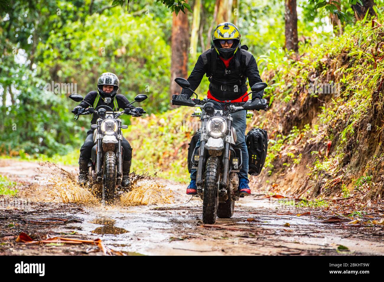 two friends riding their scrambler motorcycles through forrest Stock ...