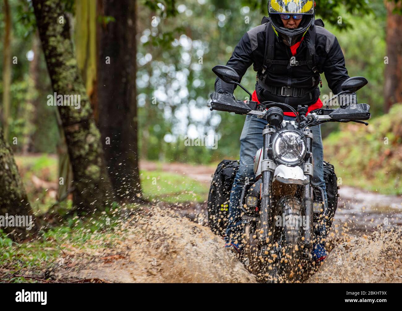 man riding his scrambler type motorcycle through forrest Stock Photo ...