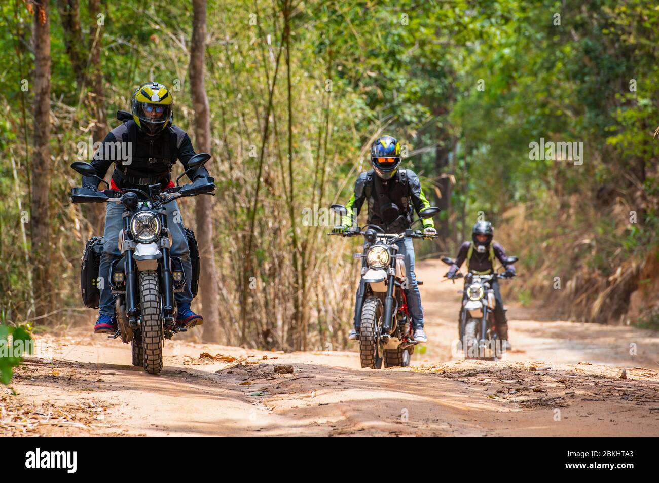 three friends riding their scrambler motorcycles through forrest Stock ...