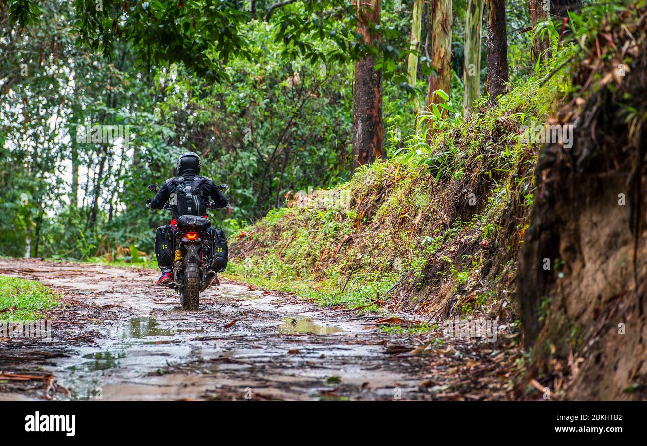 man riding his scrambler type motorcycle through forrest Stock Photo ...