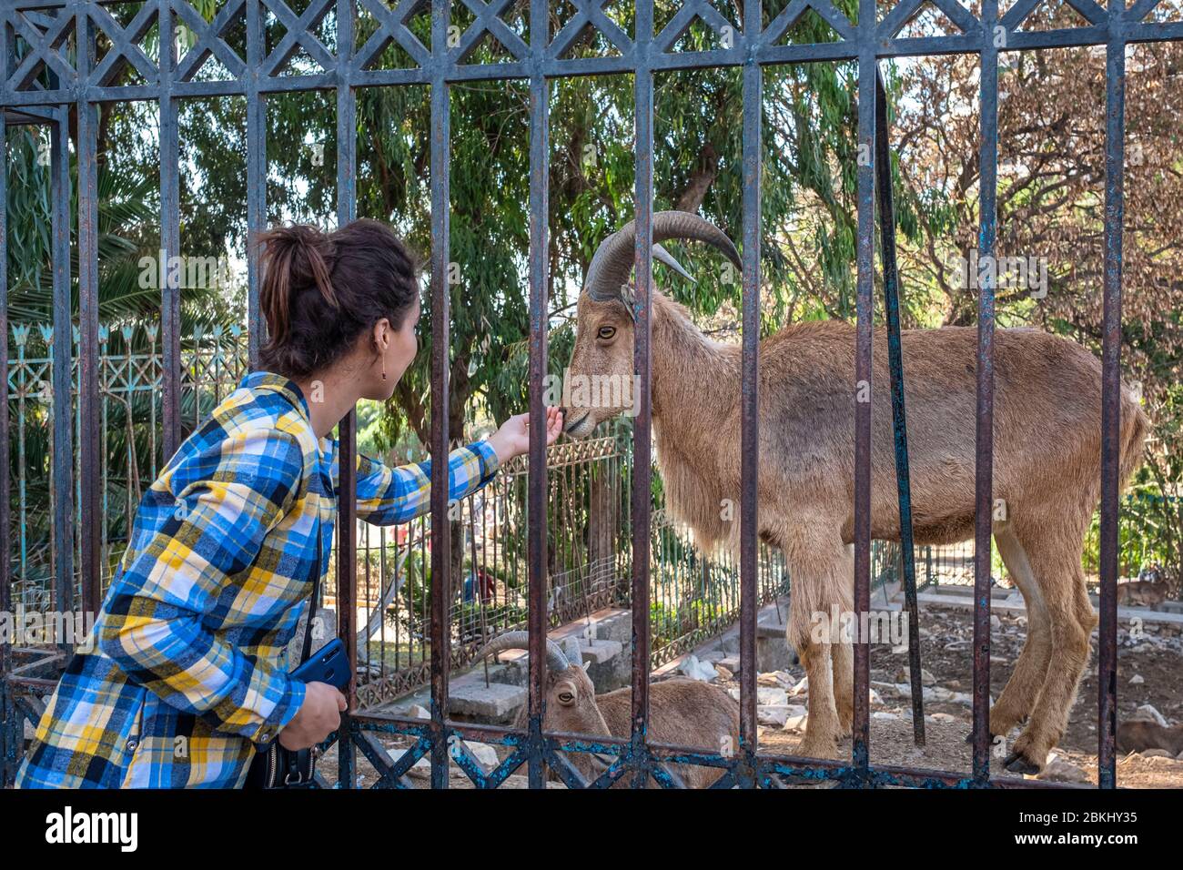 Agadir park hi-res stock photography and images - Alamy