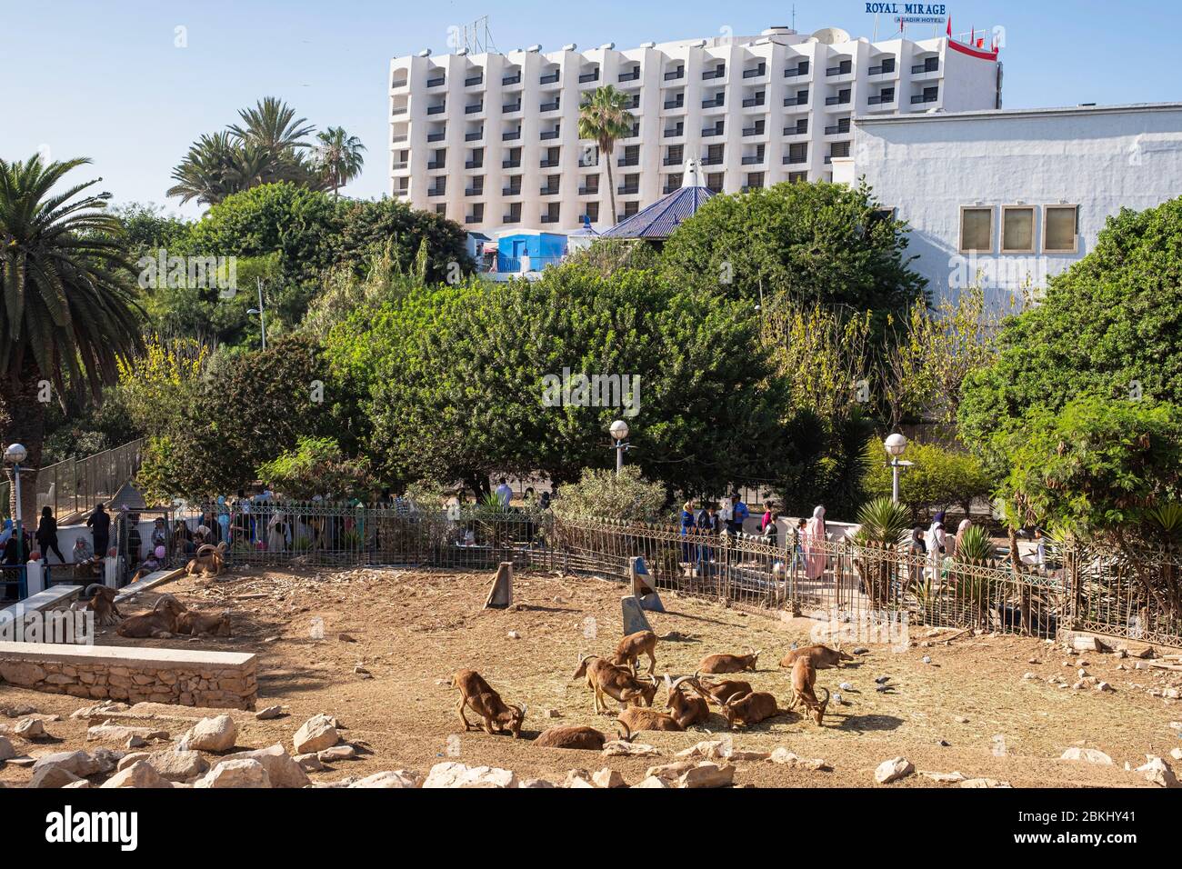 Morocco, Souss-Massa region, Agadir, Birds Valley animal park, mouflon ...